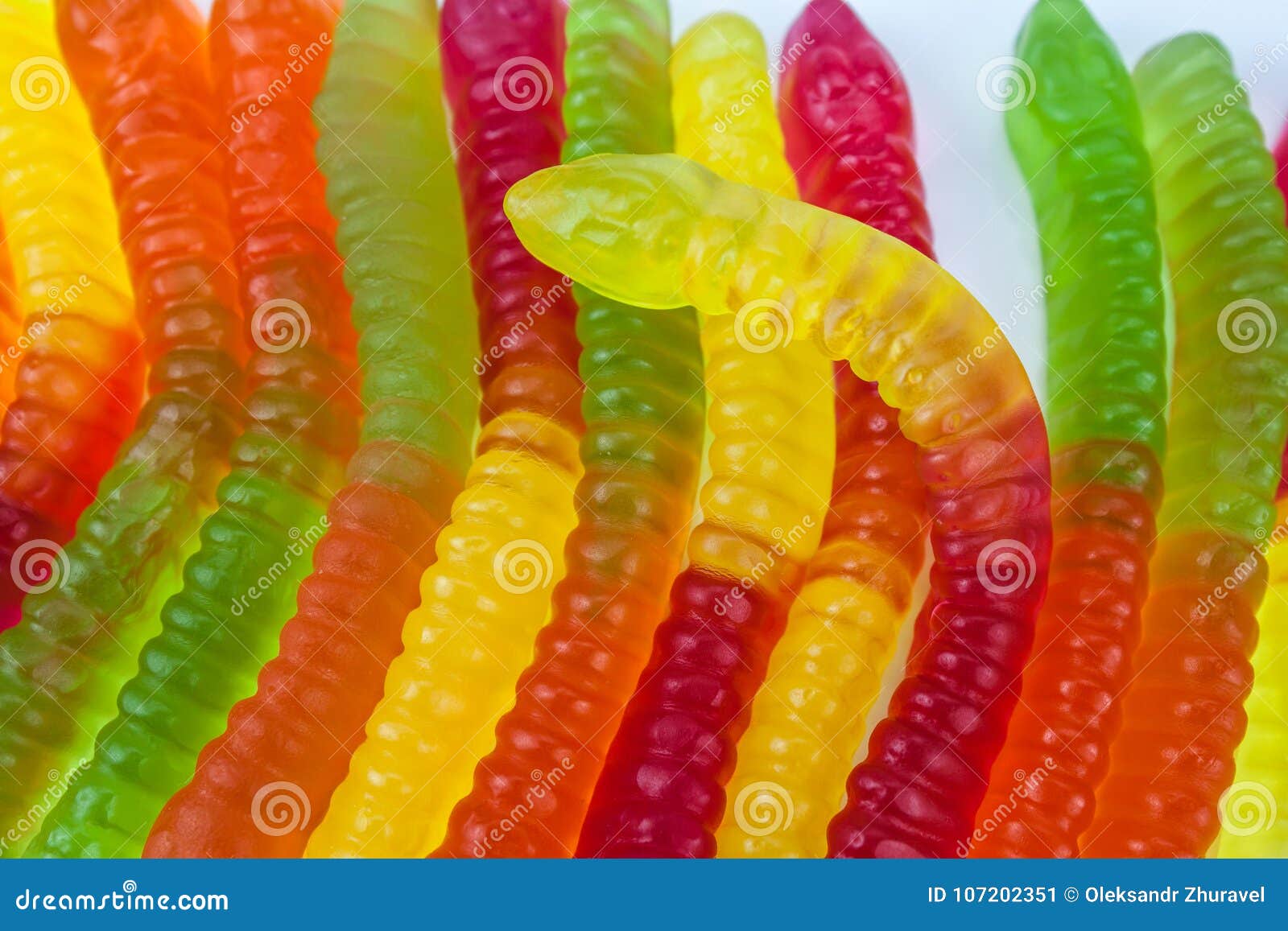 Fruity gummy worm candy stock image. Image of food, gummy - 107202351