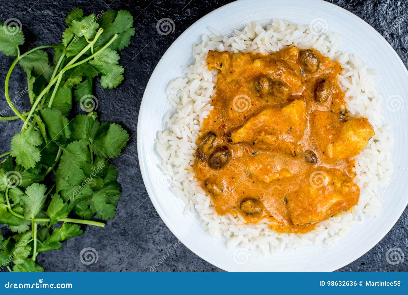 Fruity Mild Chicken Curry with Boiled Rice Stock Photo - Image of meat ...