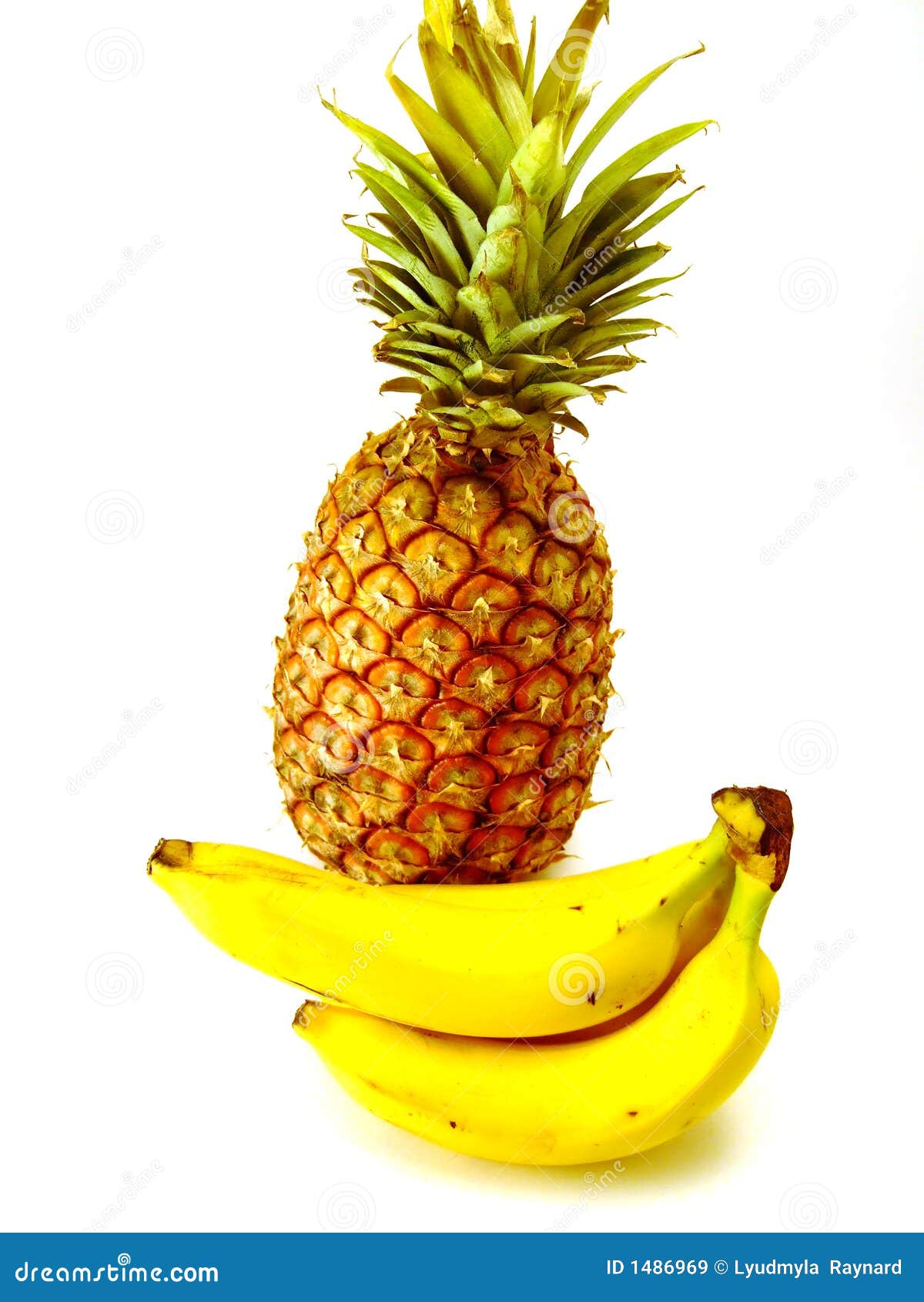 Frukter fotografering för bildbyråer. Bild av abstrakt - 1486969