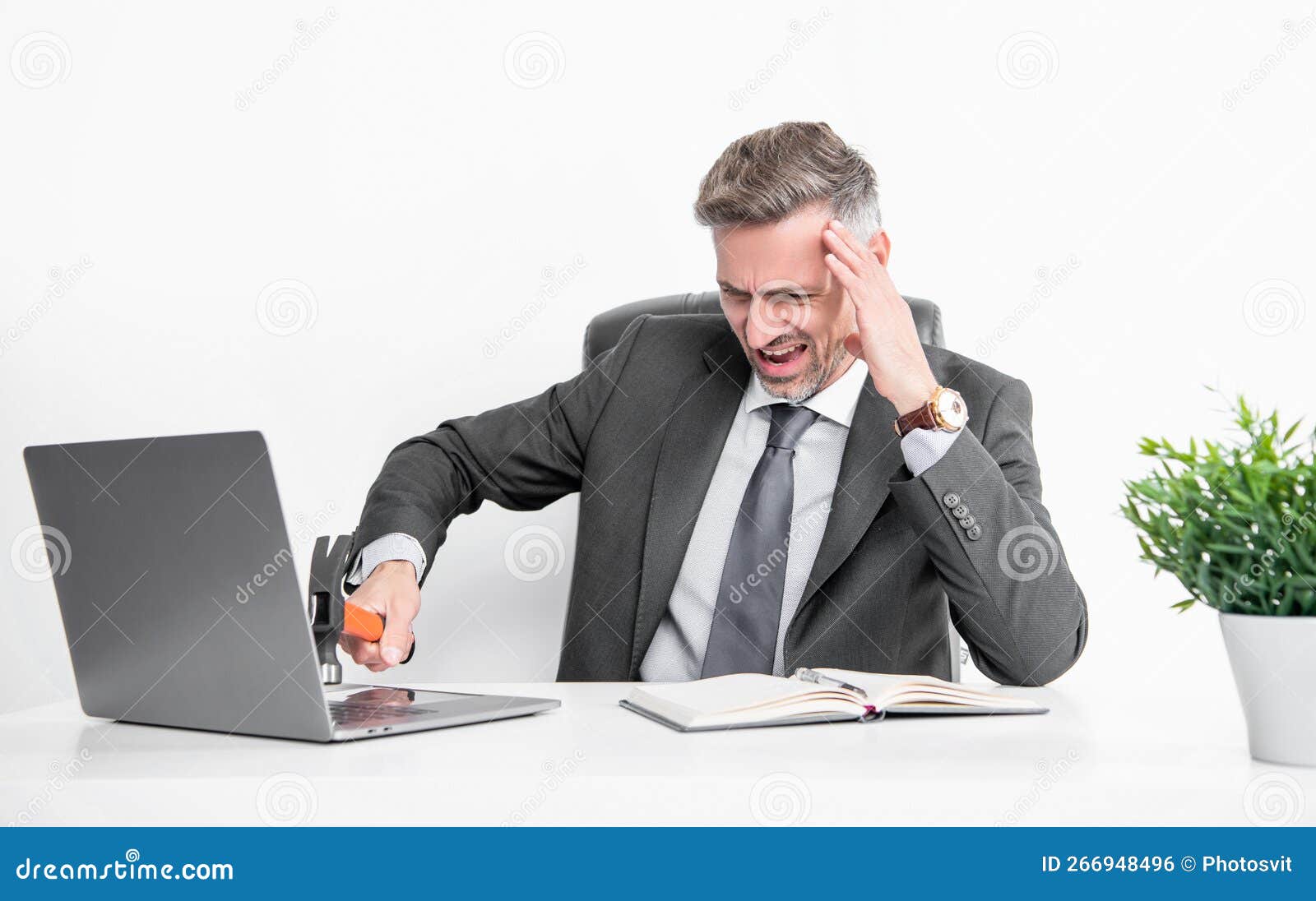 Frustrated Boss Hitting Laptop with Hammer in Office Stock Photo ...
