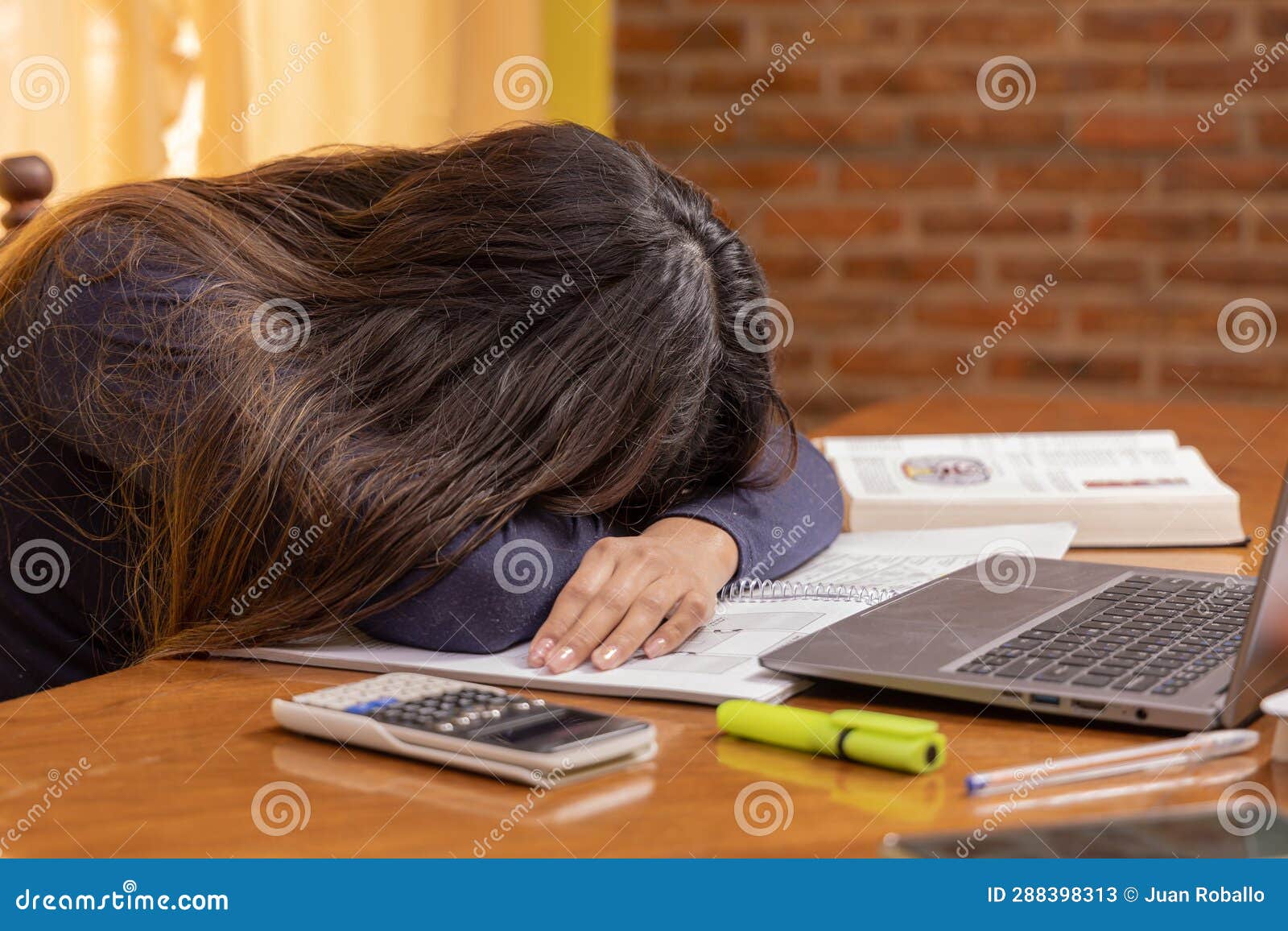 Frustrated Student Girl, Studying in Front of a Laptop Stock Image ...