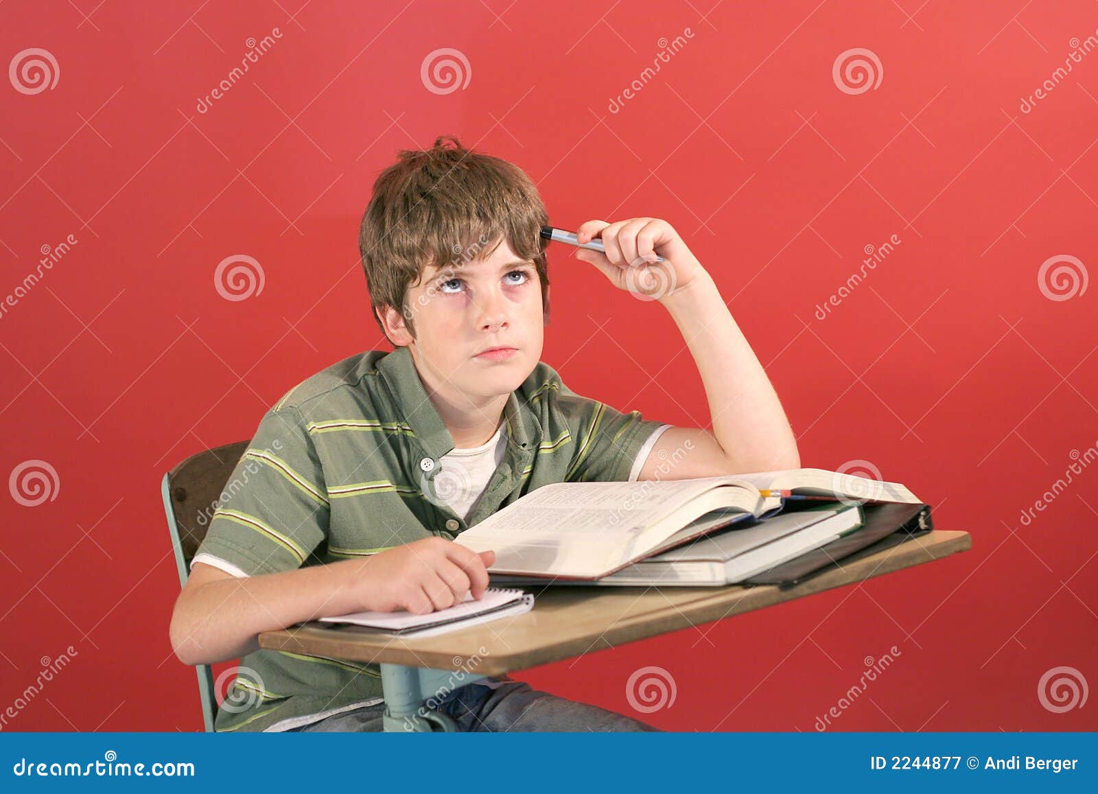Frustrated Student at His Desk Stock Image - Image of read, home: 2244877