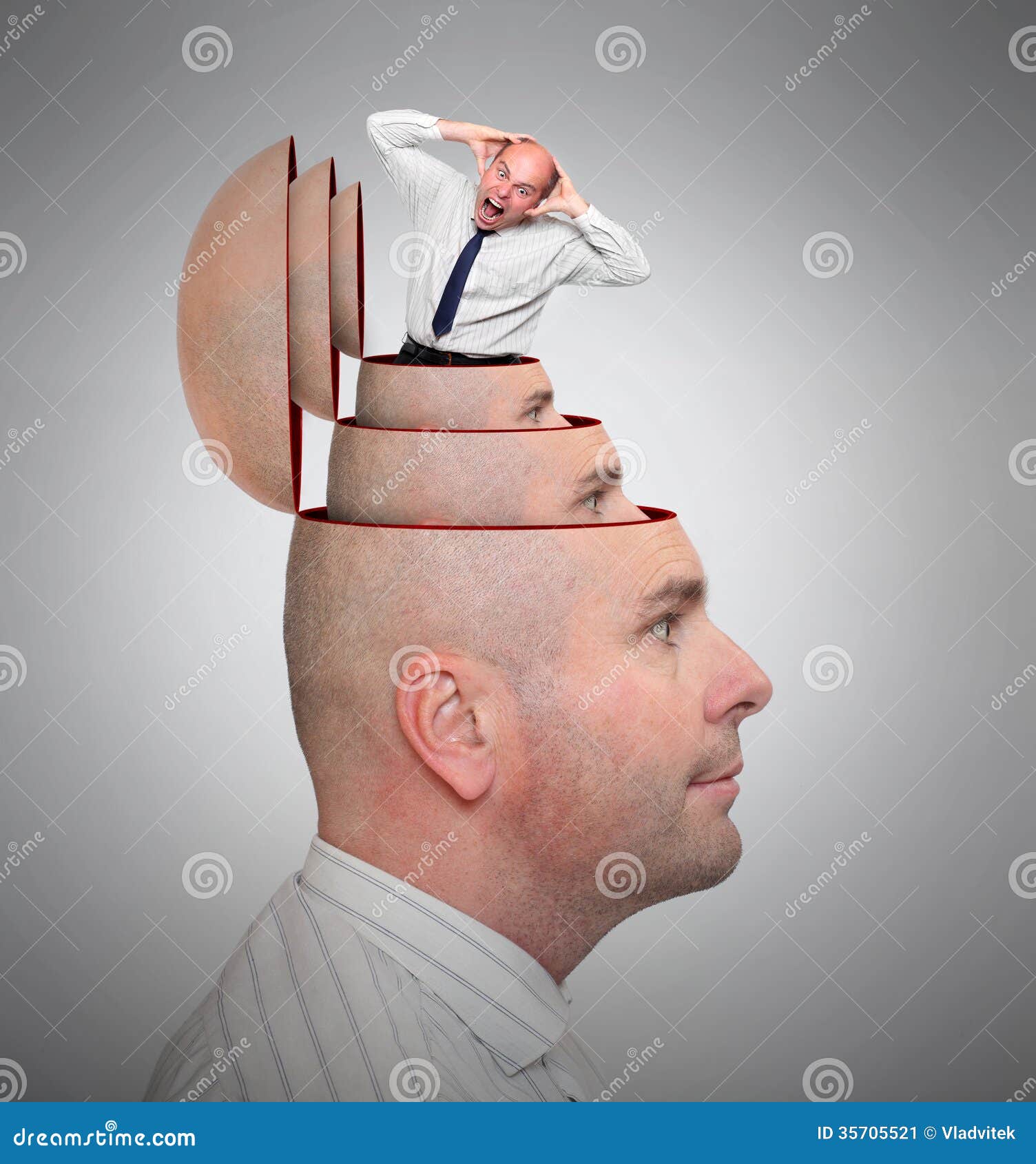 The Frustration. stock image. Image of pain, head, ache - 35705521