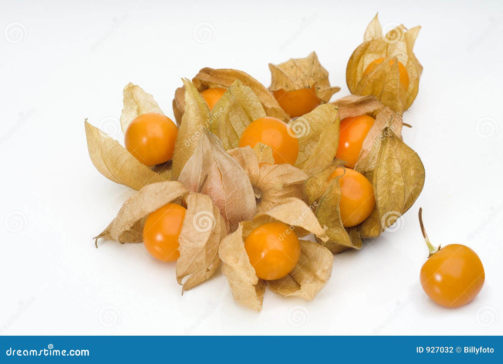 Fruta 1 del Physalis foto de archivo. Imagen de aislado - 927032