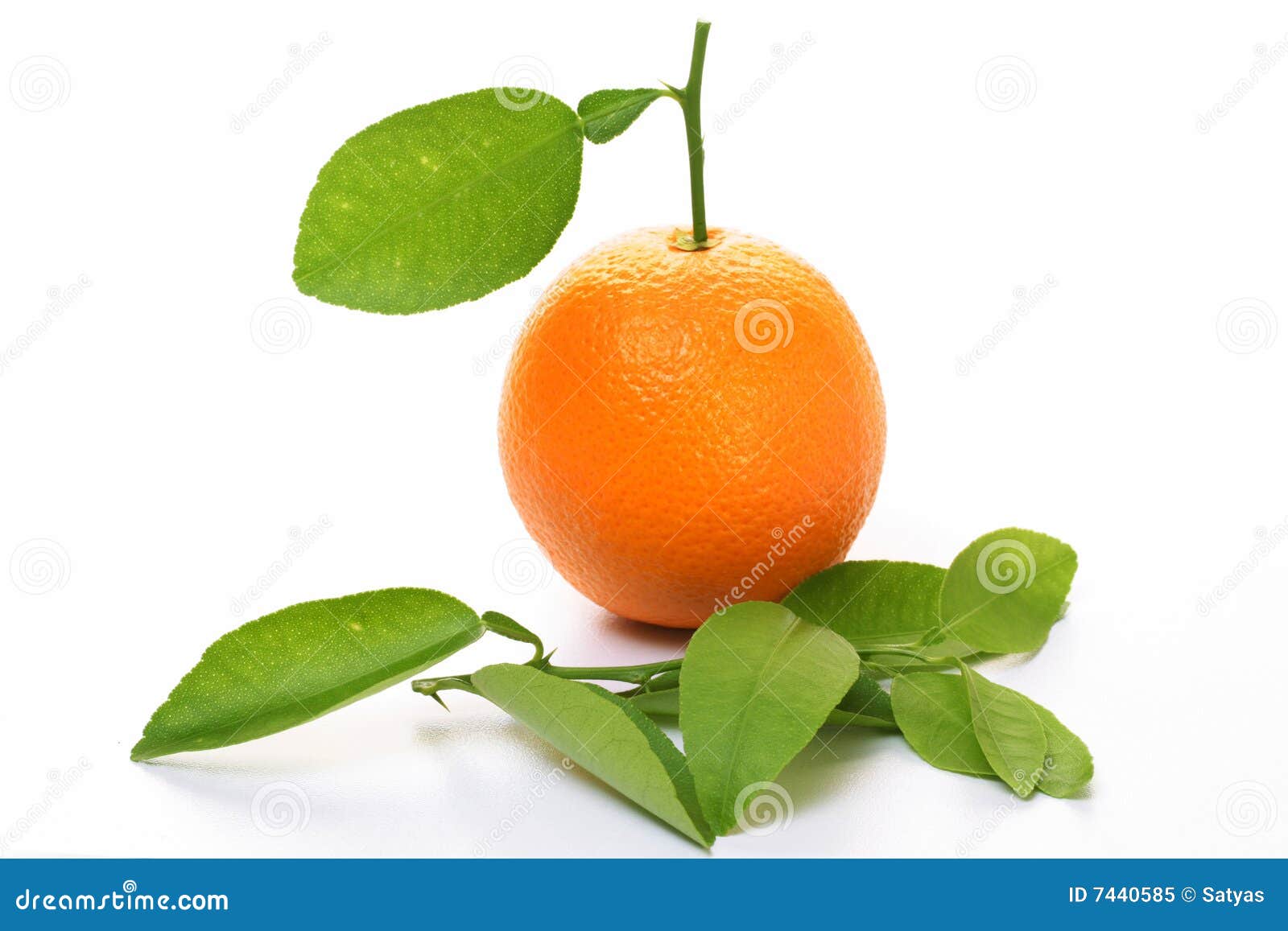 Fruta anaranjada imagen de archivo. Imagen de jugo, color - 7440585