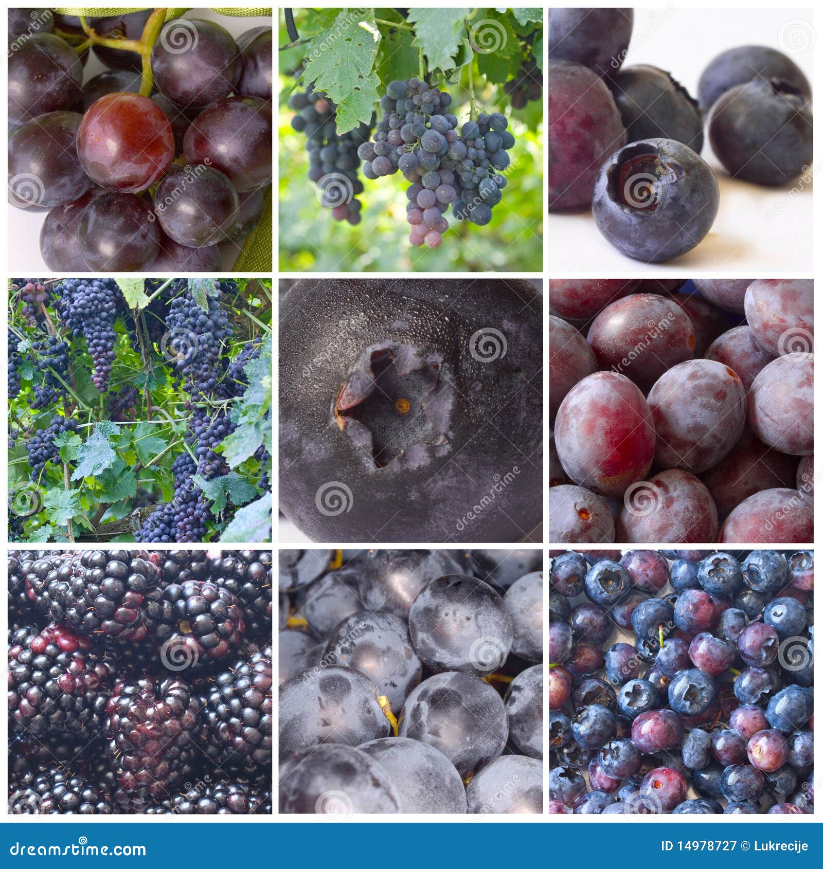 Fruta azul imagem de stock. Imagem de sobremesa, folhas - 14978727