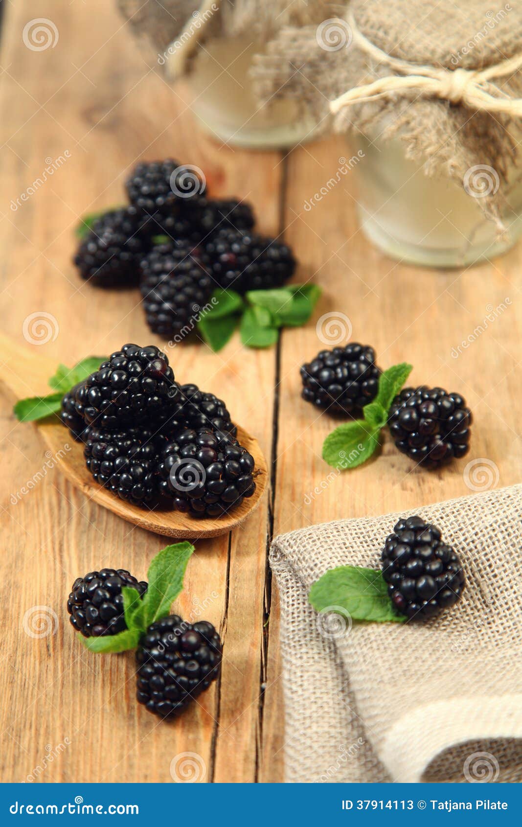 Fruta azul imagen de archivo. Imagen de dewberry, planta - 37914113