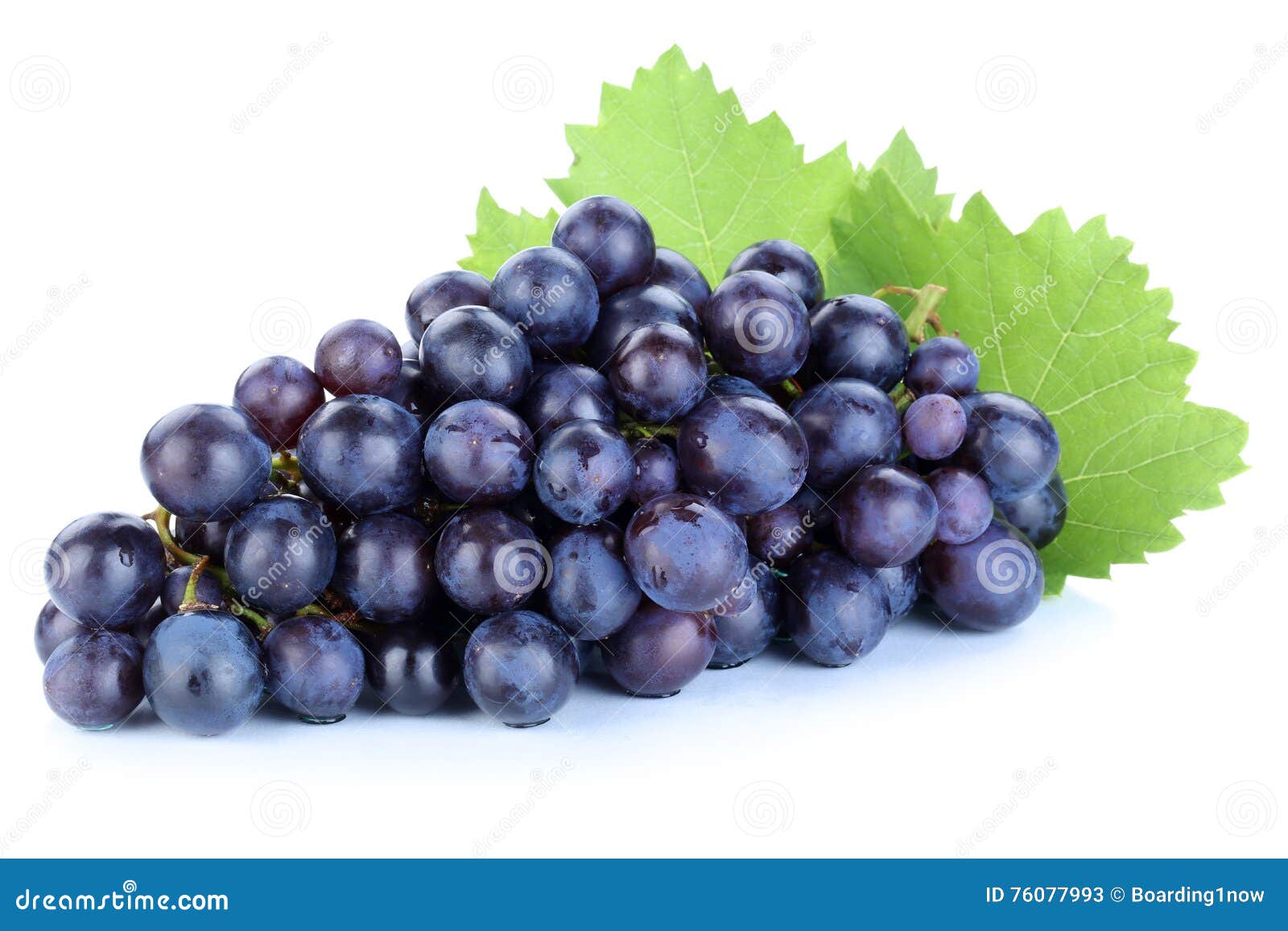 Fruta Azul De Las Frutas De Las Uvas Aislada En Blanco Imagen de ...