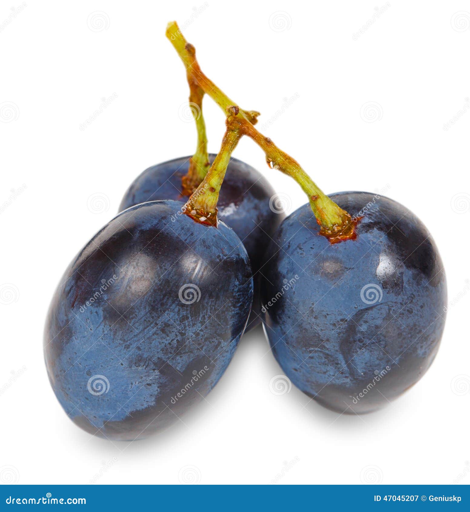 Fruta Azul Fresca De La Uva Imagen de archivo - Imagen de dulce, sano ...