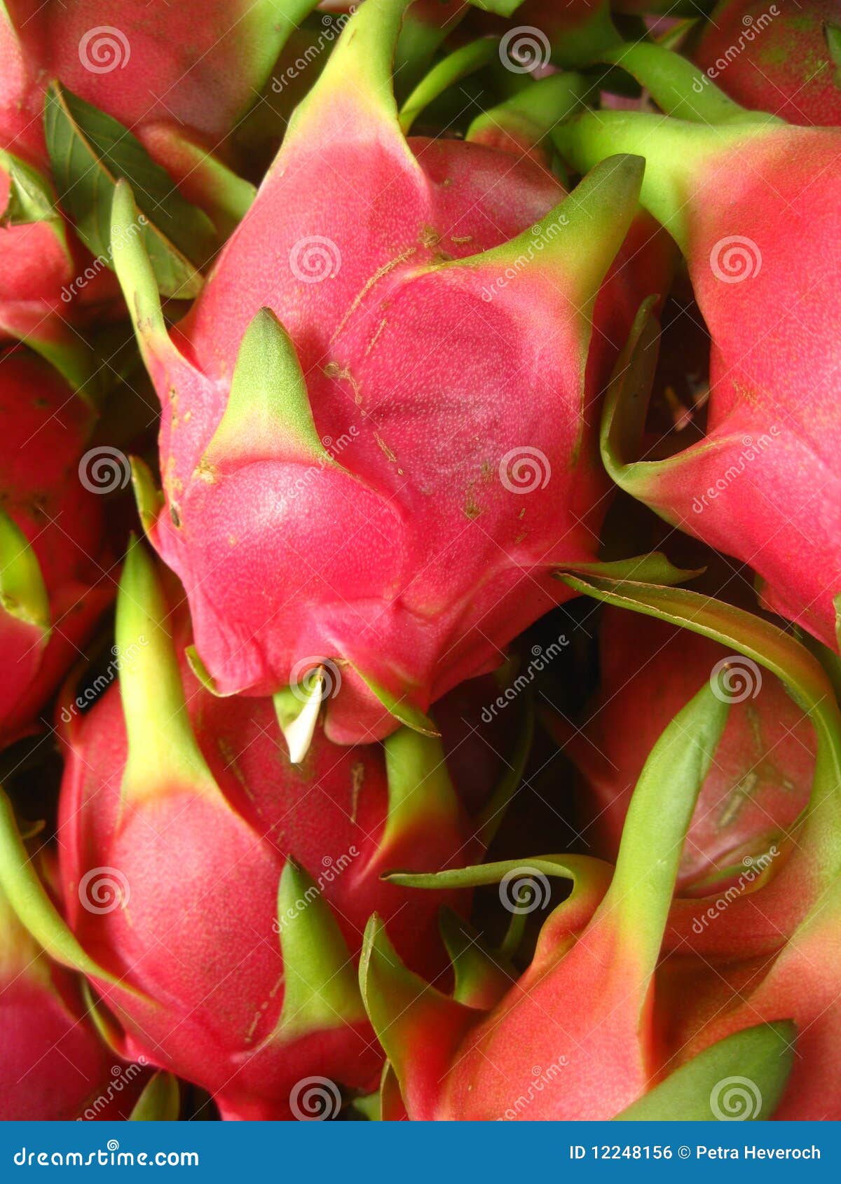Fruta Cor-de-rosa Do Dragão Foto de Stock - Imagem de frutas, vitaminas ...