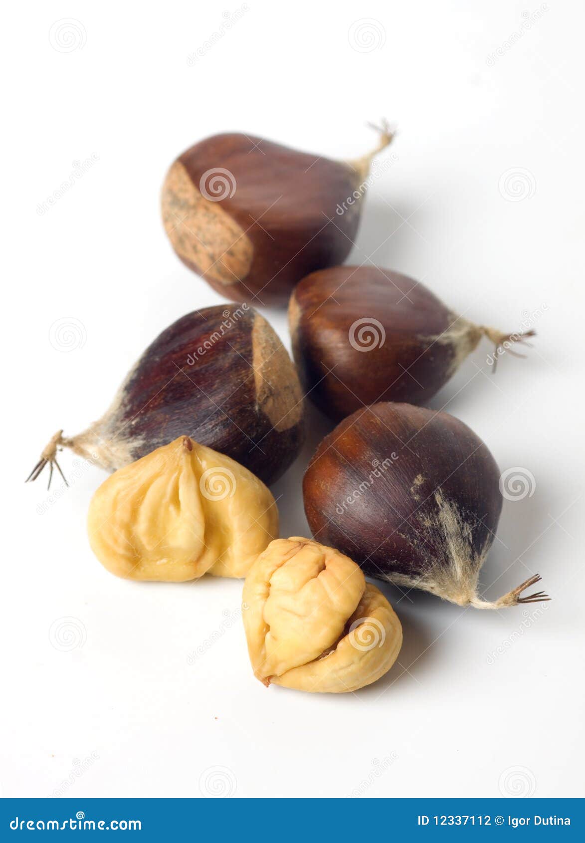 Fruta Da Castanha Isolada No Branco Foto de Stock - Imagem de ...