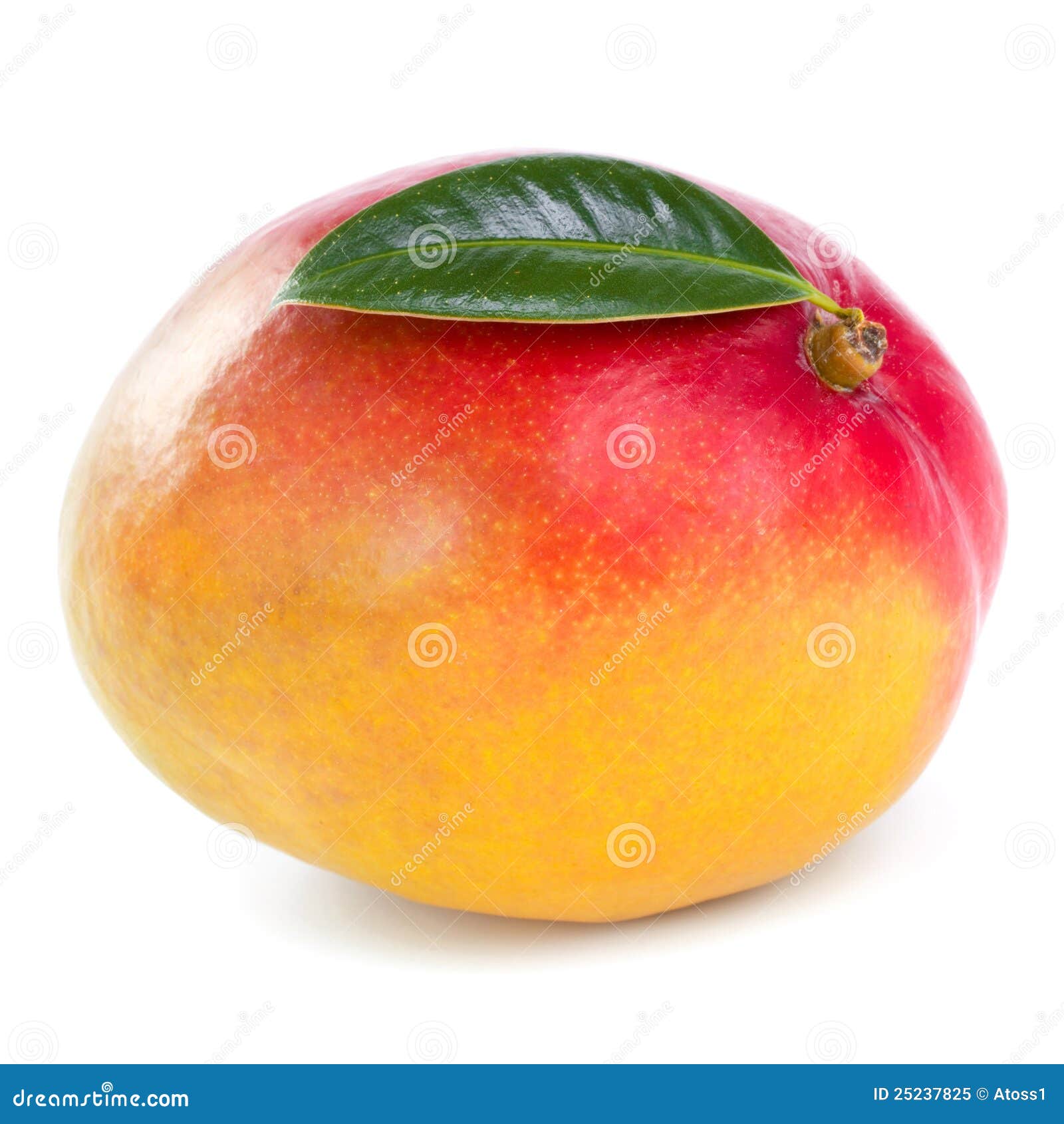 Fruta da manga imagem de stock. Imagem de sobremesa, fundo - 25237825