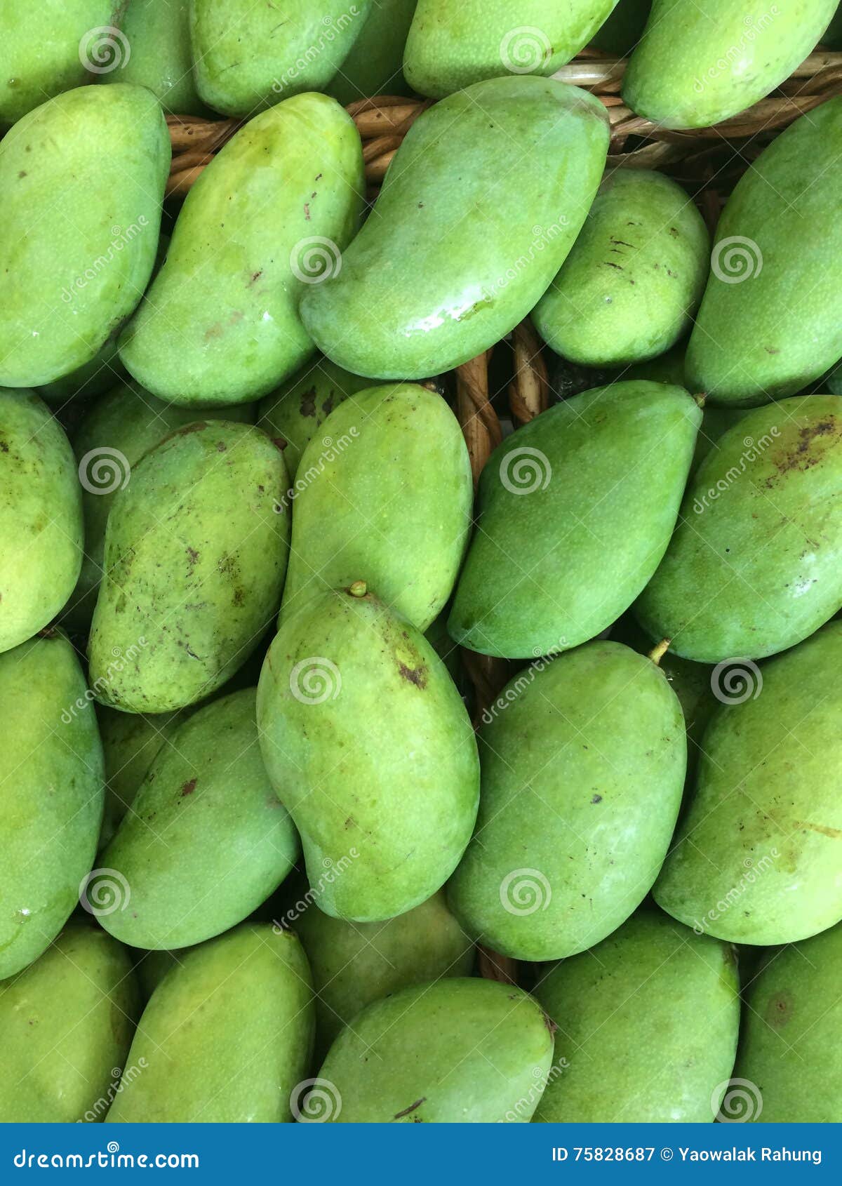 Fruta da manga imagem de stock. Imagem de suco, agricultura - 75828687