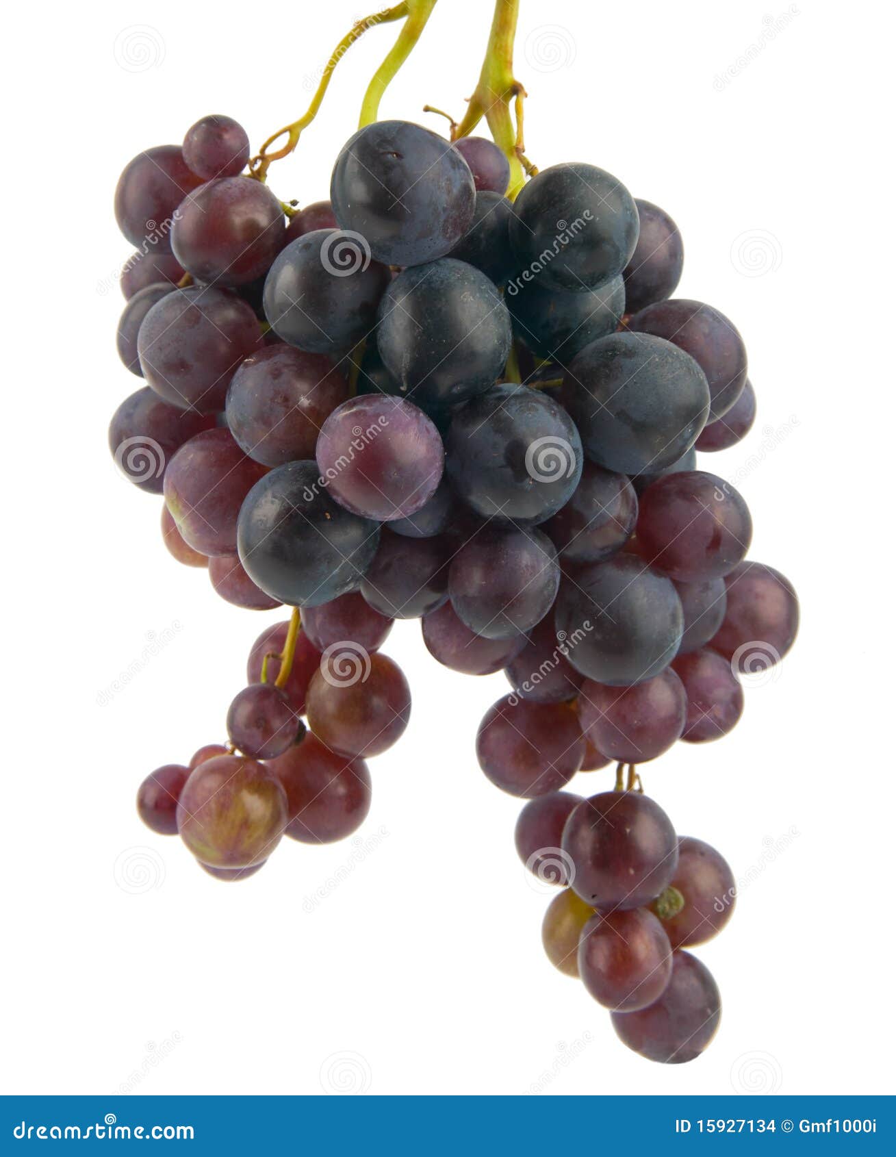 Fruta da uva foto de stock. Imagem de suculento, outubro - 15927134