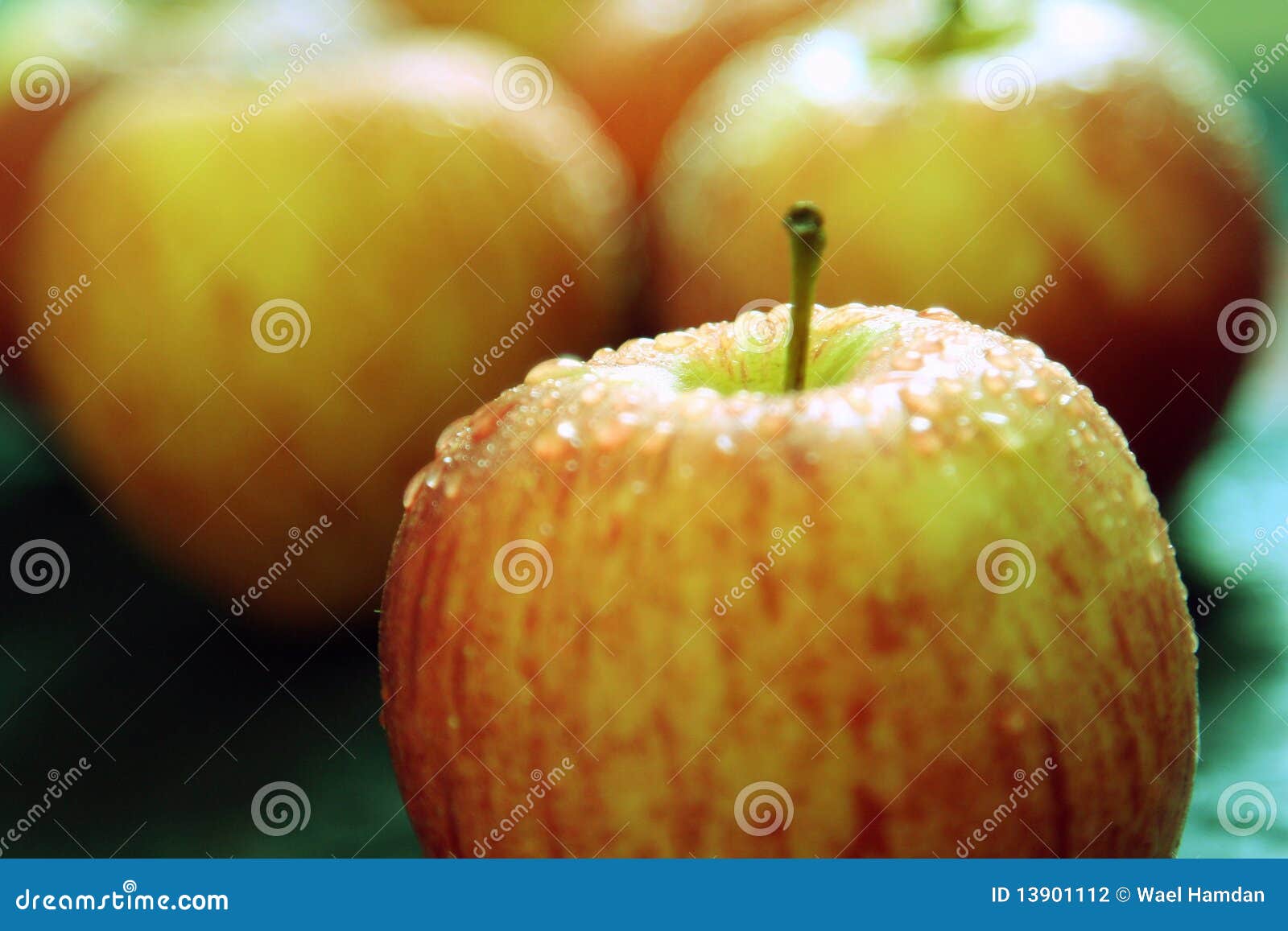 Fruta de Apple foto de archivo. Imagen de mojado, manzana - 13901112