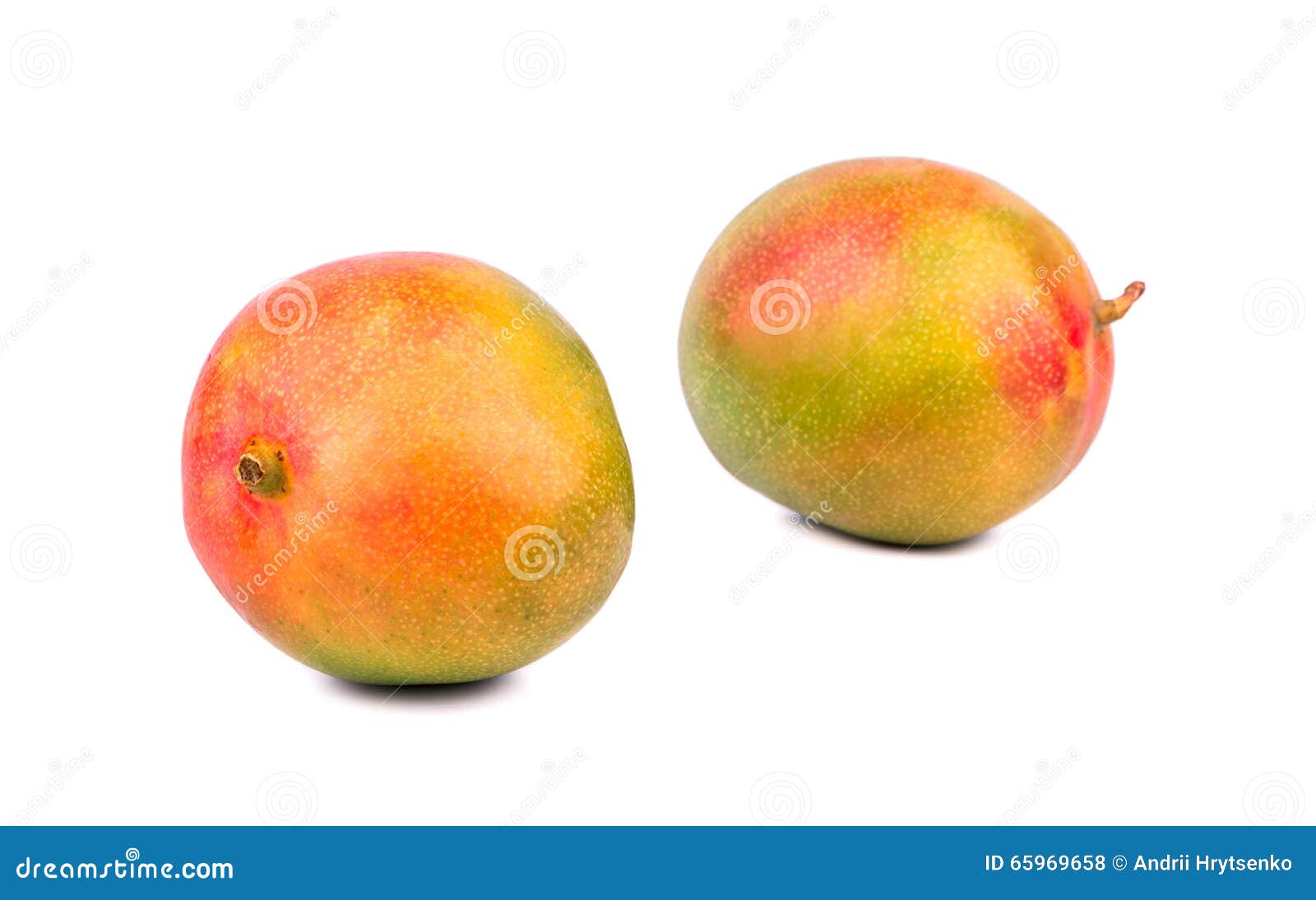 Fruta de dos mangos foto de archivo. Imagen de comer - 65969658