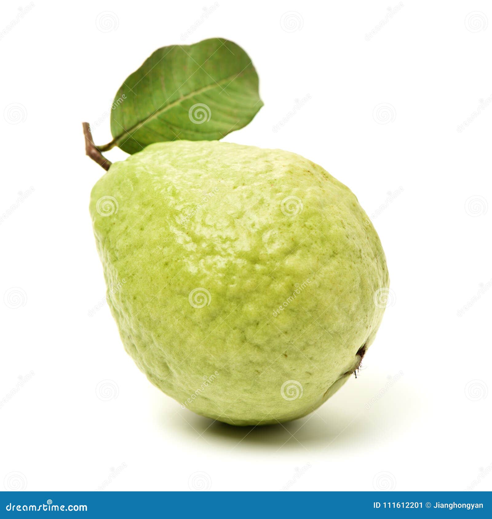 Fruta de guayaba imagen de archivo. Imagen de color - 111612201