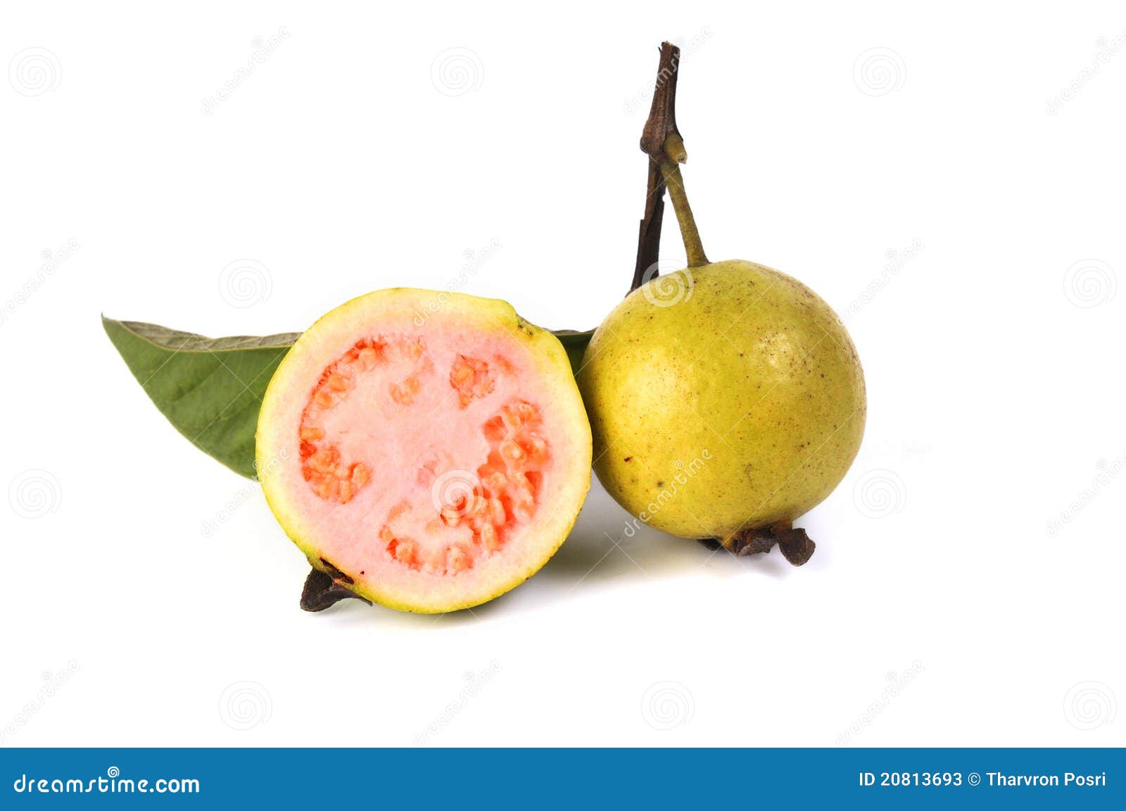 Fruta De Guayaba Aislada En El Fondo Blanco Imagen de archivo - Imagen ...