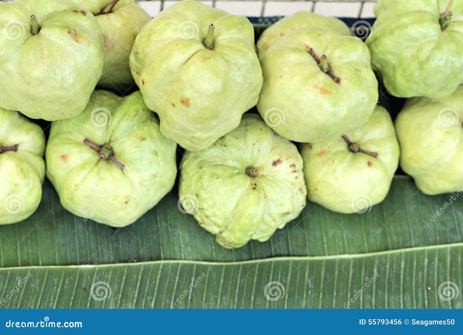 Fruta De Guayaba En El Mercado Foto de archivo - Imagen de vegetariano ...