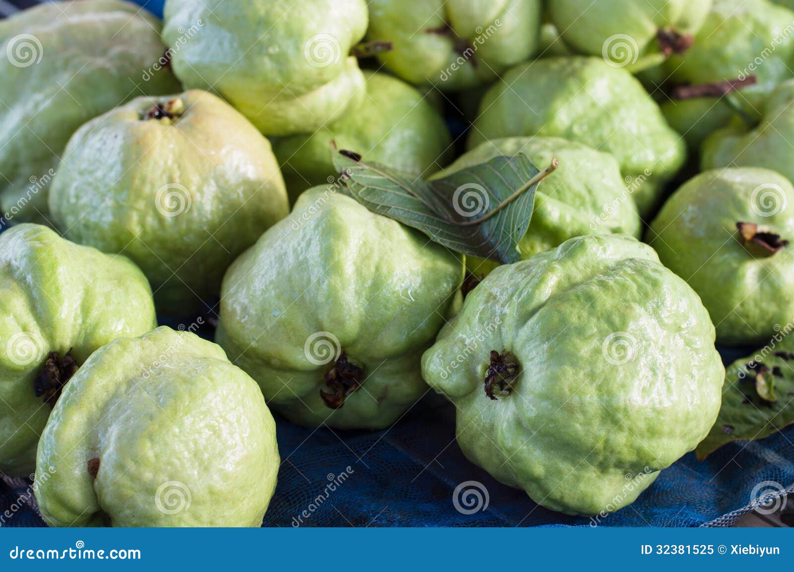 Fruta De Guayaba Fresca Tropical. Imagen de archivo - Imagen de ...