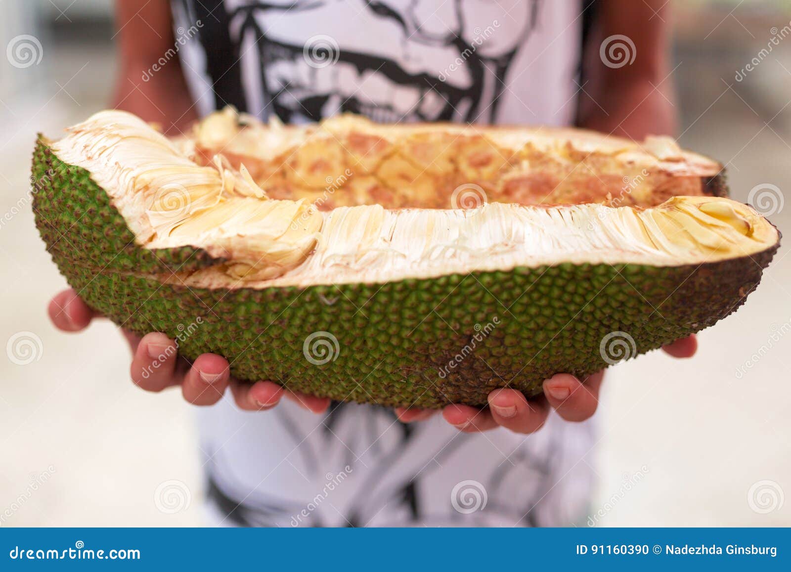 Fruta De Jack, Pan Para Los Pobres Foto de archivo - Imagen de planta ...