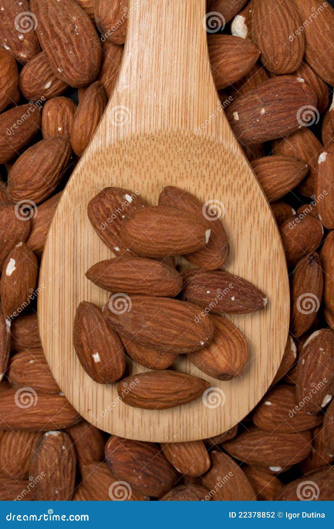 Fruta de la almendra foto de archivo. Imagen de cierre - 22378852