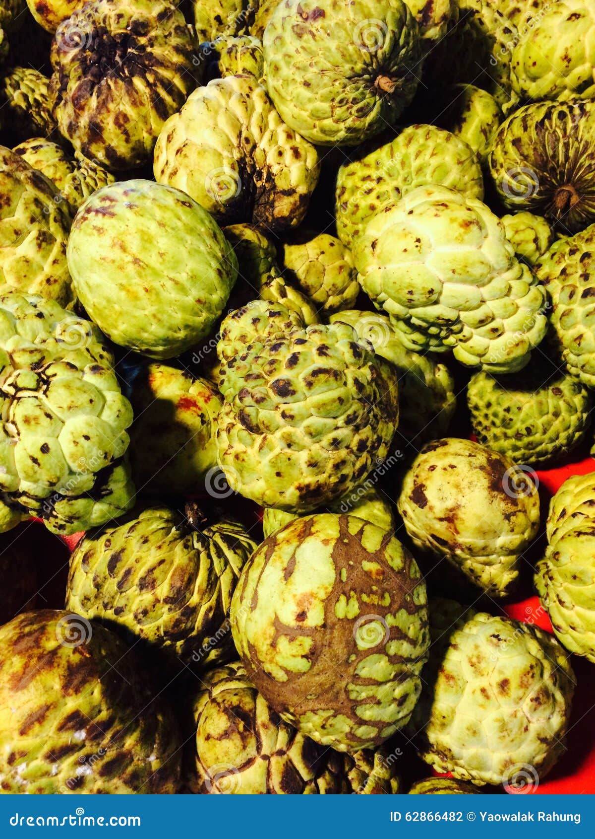 Fruta de la anona foto de archivo. Imagen de fruta, natillas - 62866482