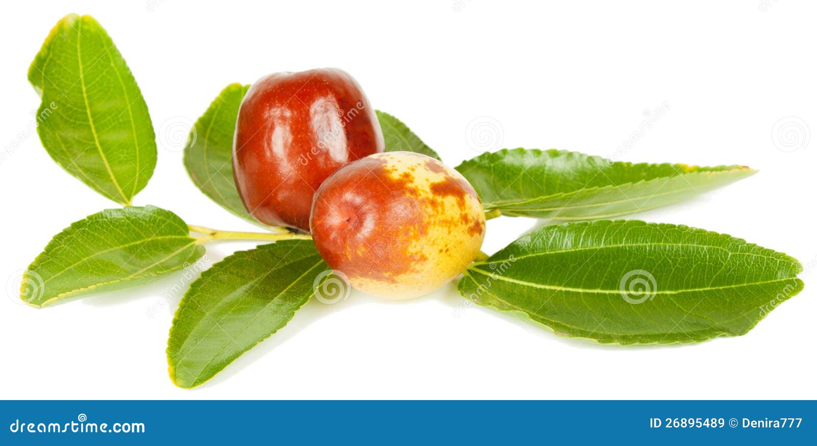 Fruta de la azufaifa imagen de archivo. Imagen de fecha - 26895489