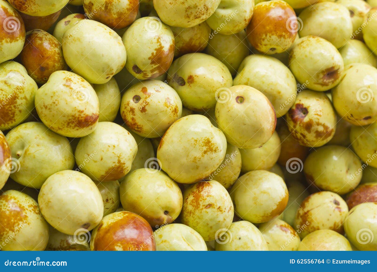 Fruta de la azufaifa foto de archivo. Imagen de producto - 62556764