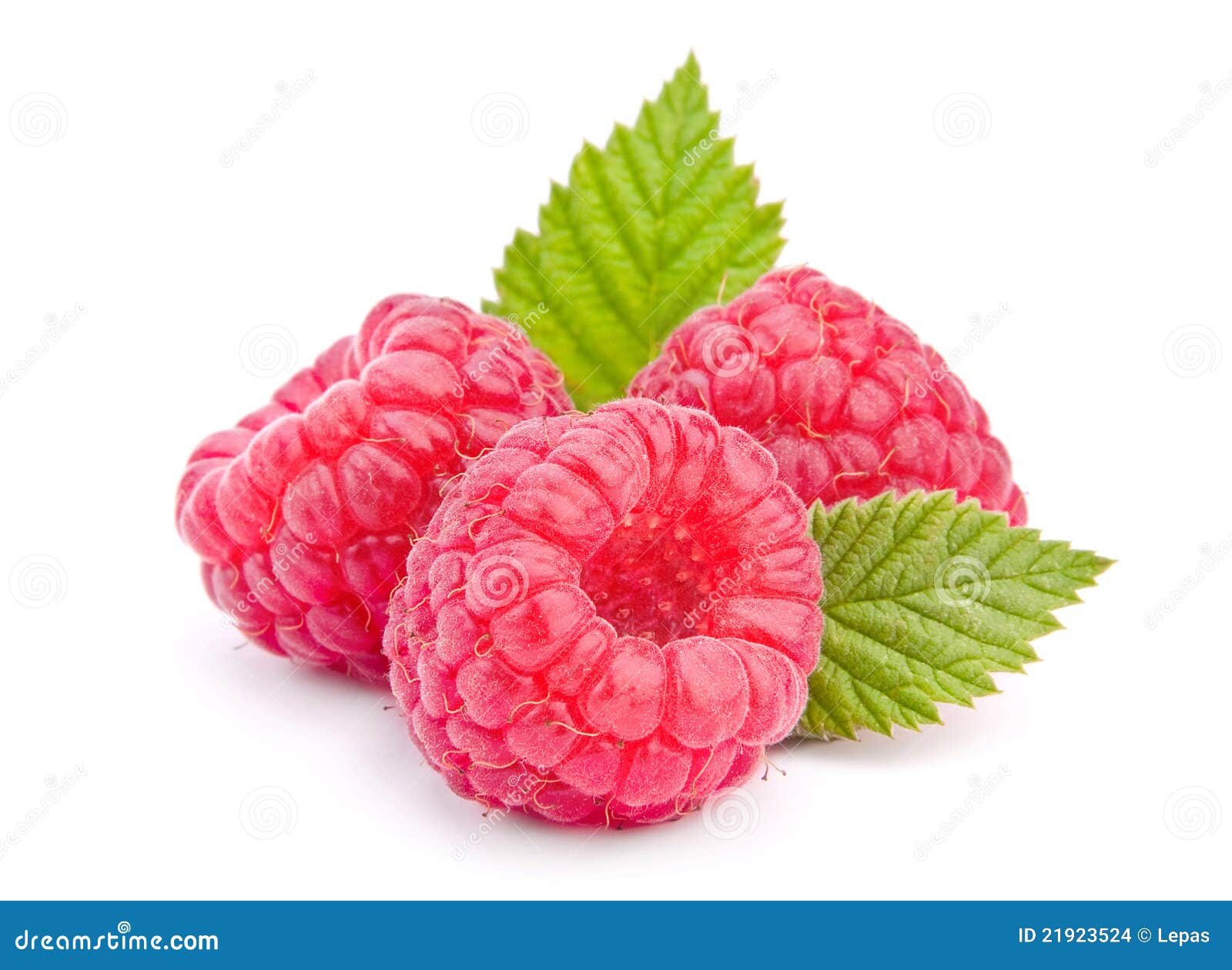 Fruta de la frambuesa foto de archivo. Imagen de fruta - 21923524