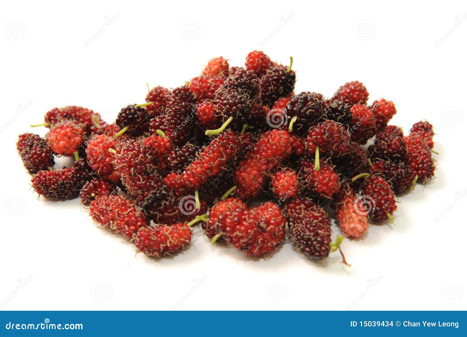 Fruta de la mora foto de archivo. Imagen de comer, brillante - 15039434