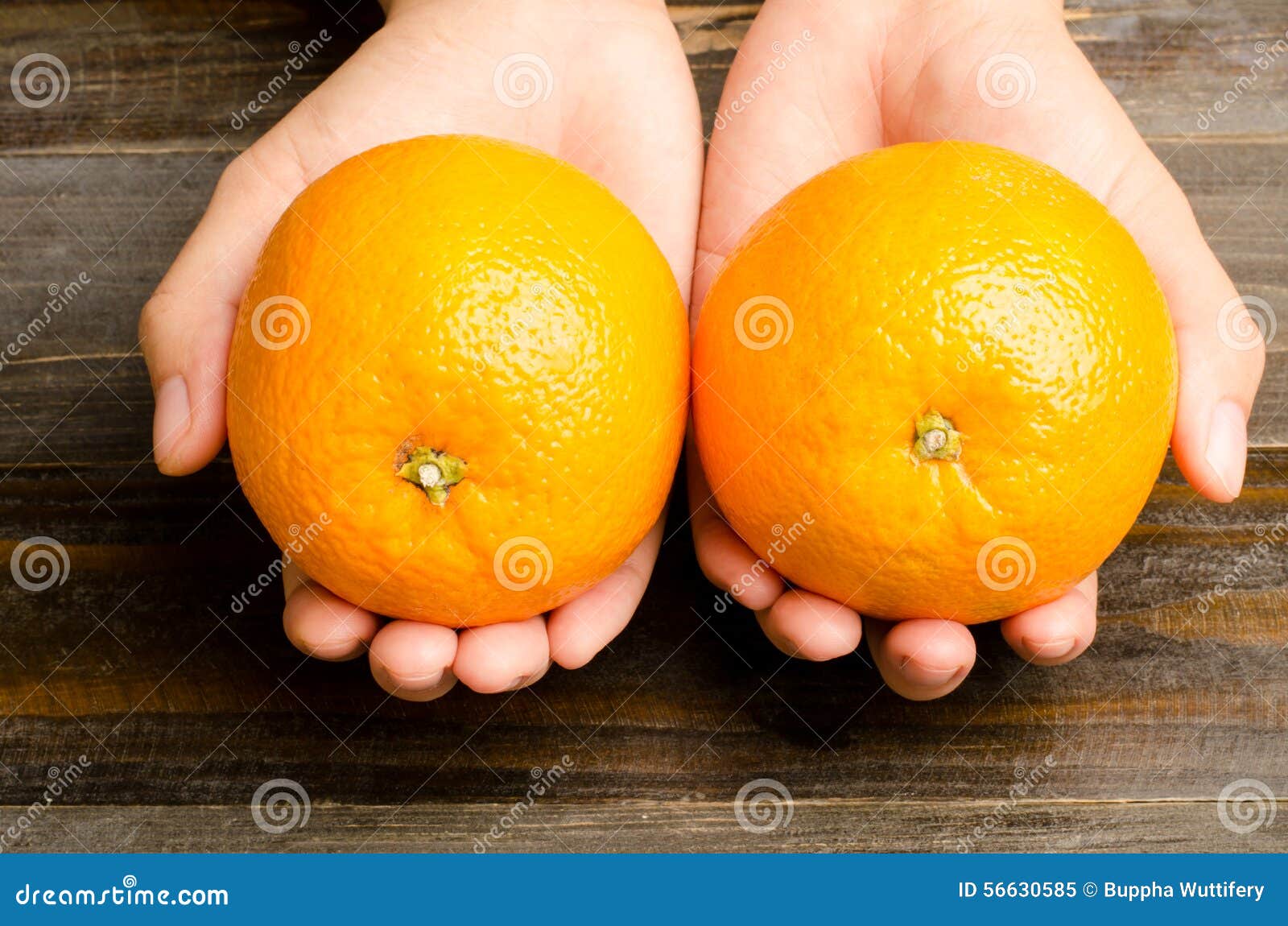 Fruta de la naranja navel imagen de archivo. Imagen de objeto - 56630585