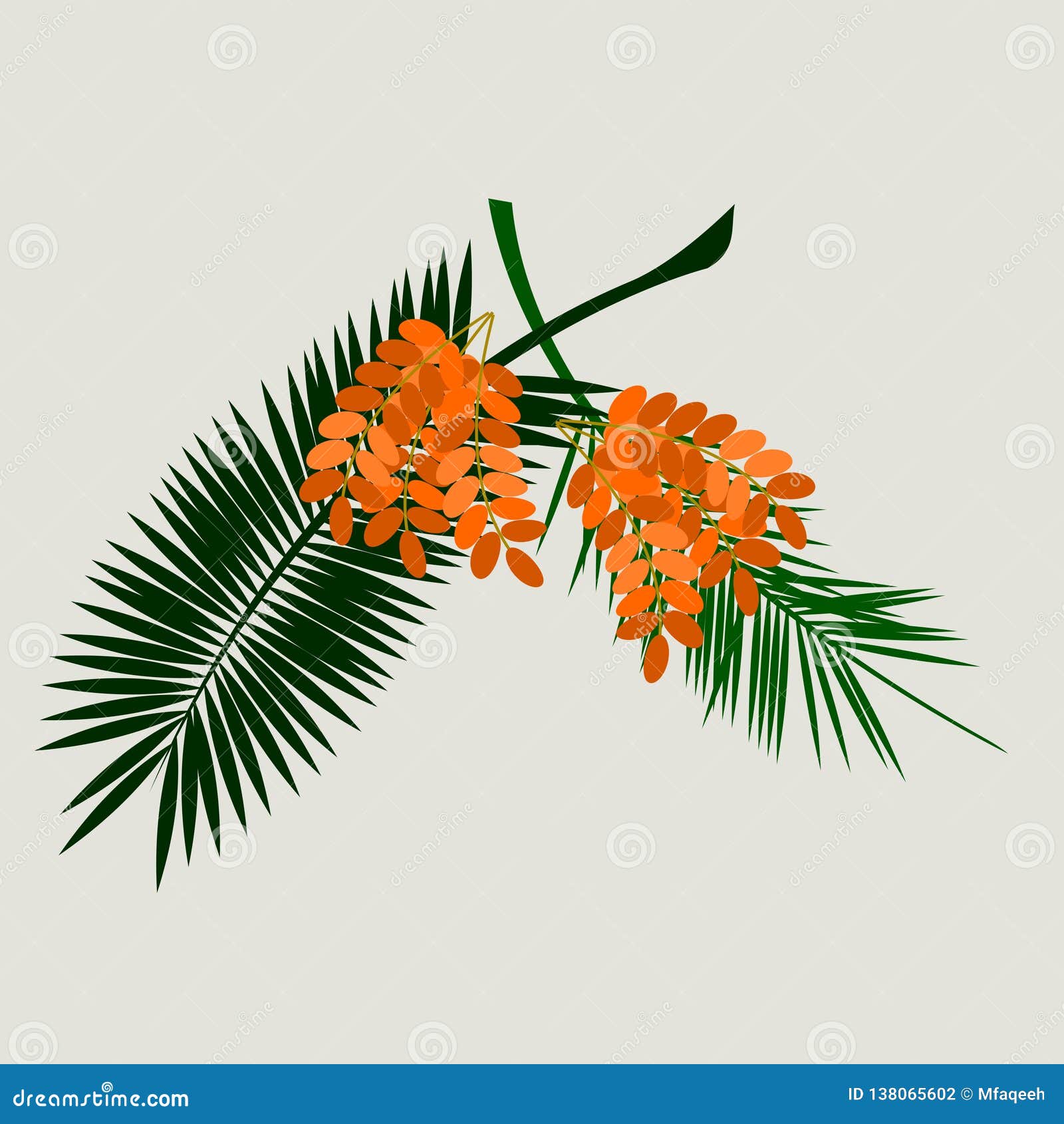 Fruta De La Palma Datilera Con Las Hojas Ilustración del Vector ...