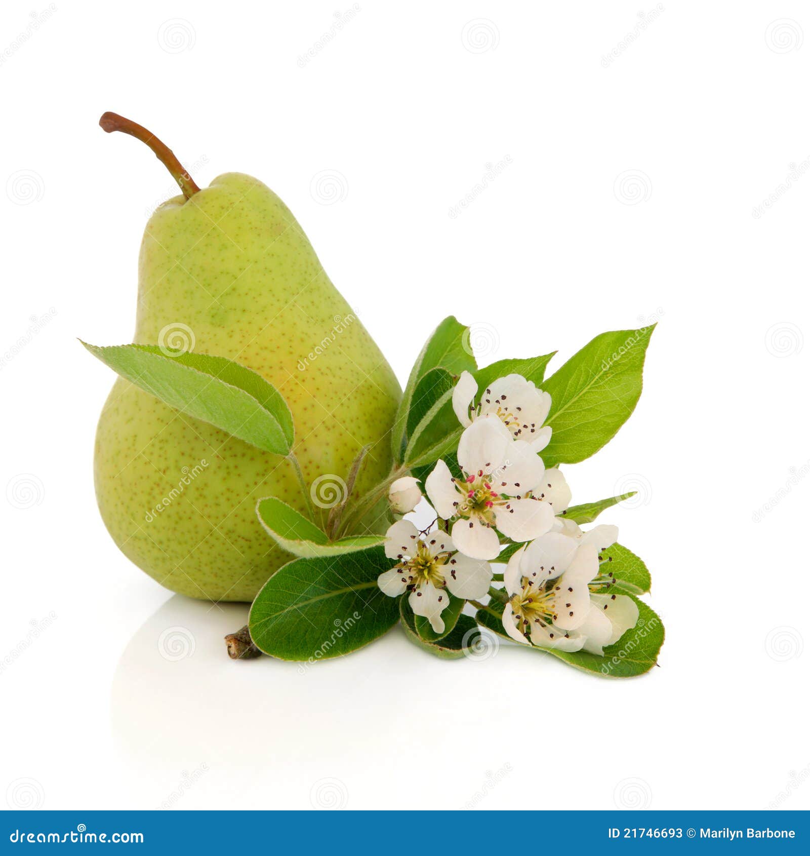 Fruta de la pera imagen de archivo. Imagen de fruta, sano - 21746693