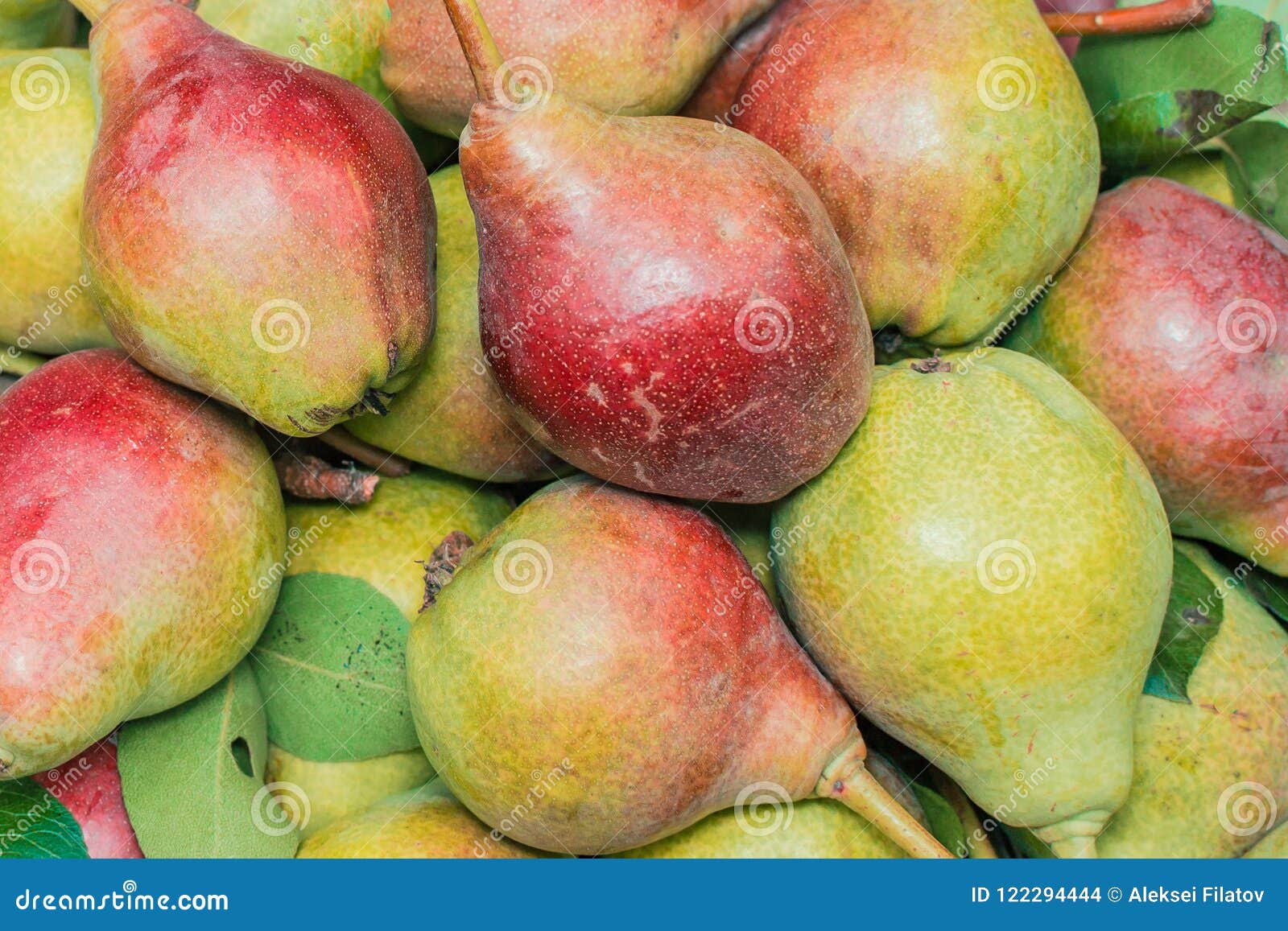 Fruta De La Textura De La Pera Foto de archivo - Imagen de verde ...