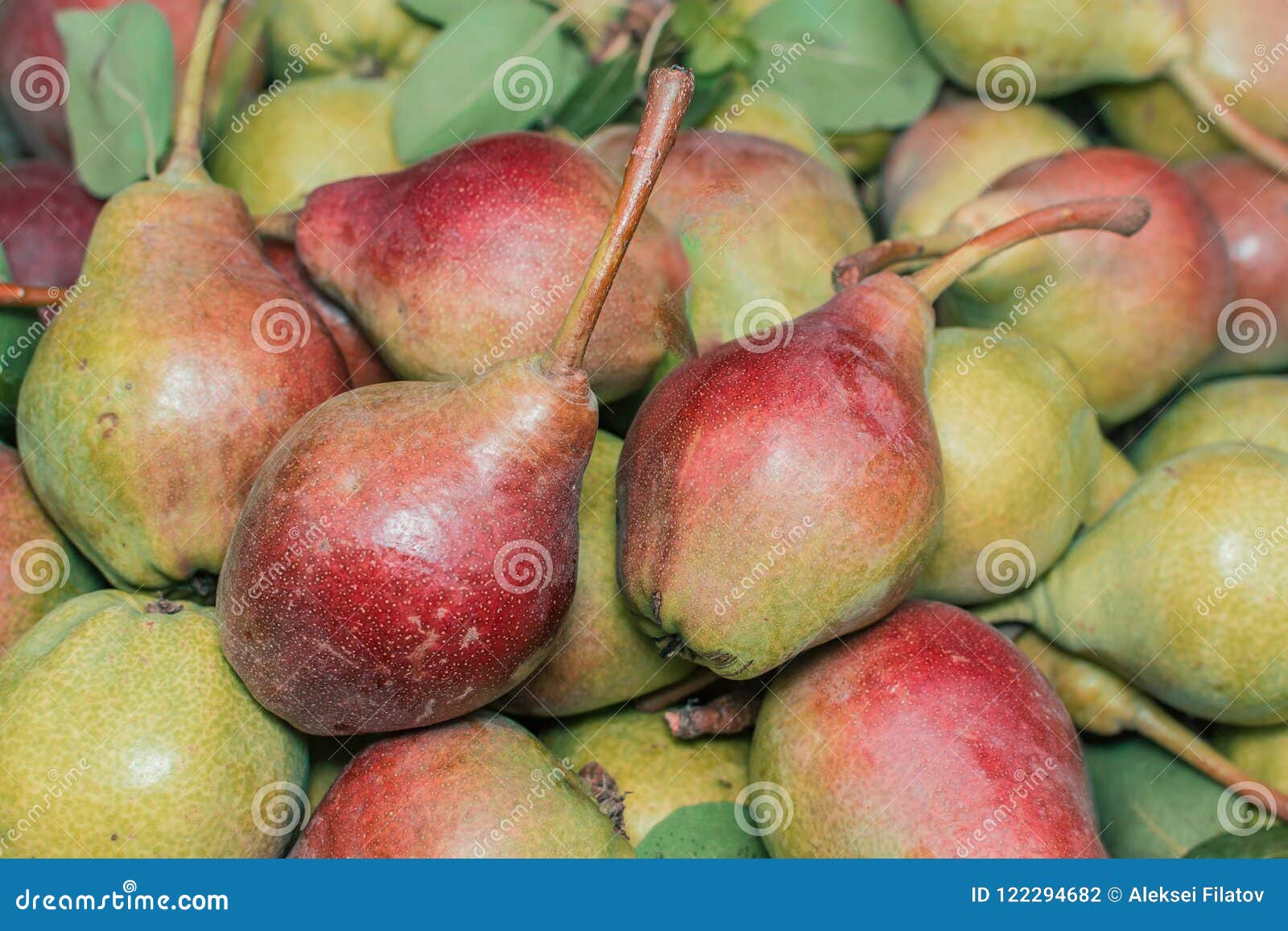 Fruta De La Textura De La Pera Foto de archivo - Imagen de color ...