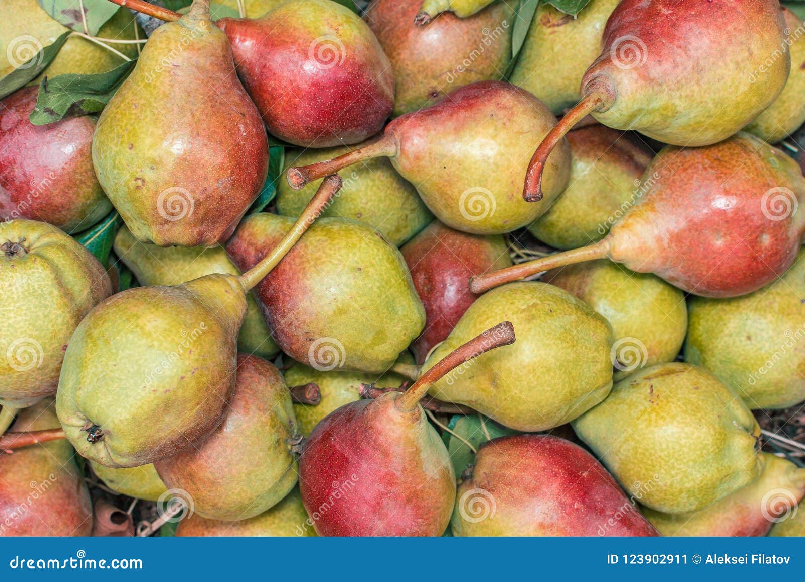 Fruta De La Textura De La Pera Imagen de archivo - Imagen de producto ...