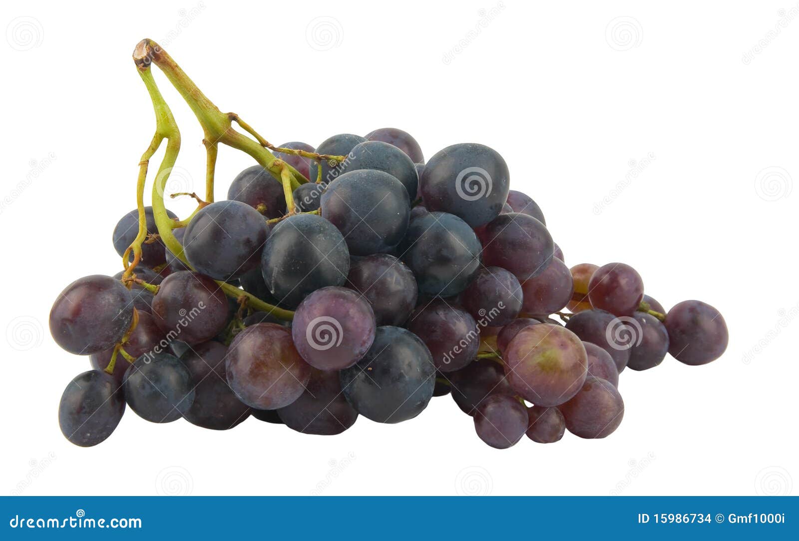 Fruta de la uva foto de archivo. Imagen de sano, maduro - 15986734