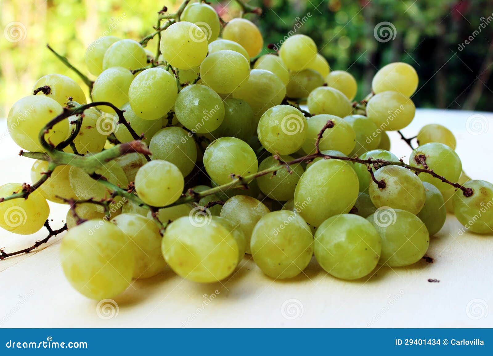 Fruta de la uva foto de archivo. Imagen de blanco, cierre - 29401434