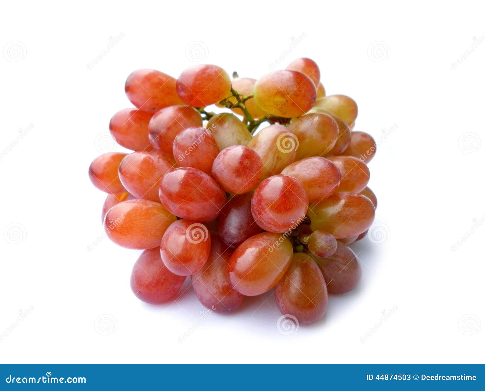 Fruta de la uva imagen de archivo. Imagen de agricultura - 44874503