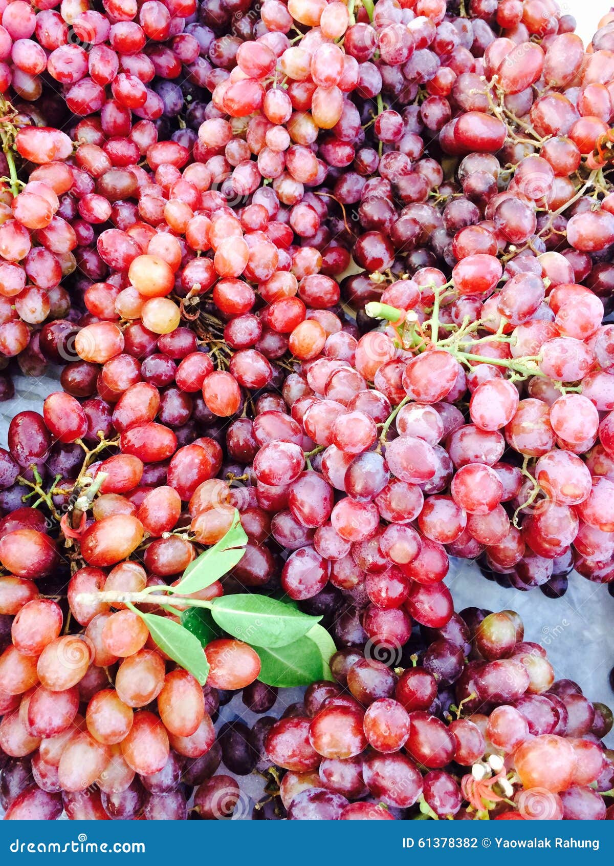 Fruta de la uva foto de archivo. Imagen de fresco, venta - 61378382