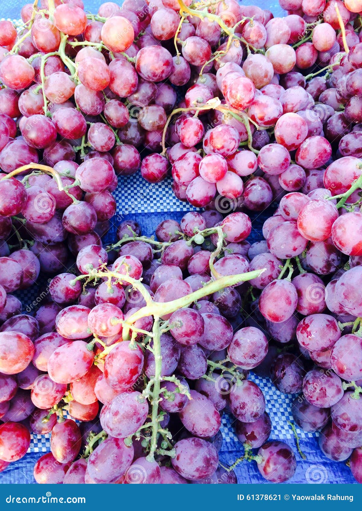 Fruta de la uva imagen de archivo. Imagen de venta, fresco - 61378621