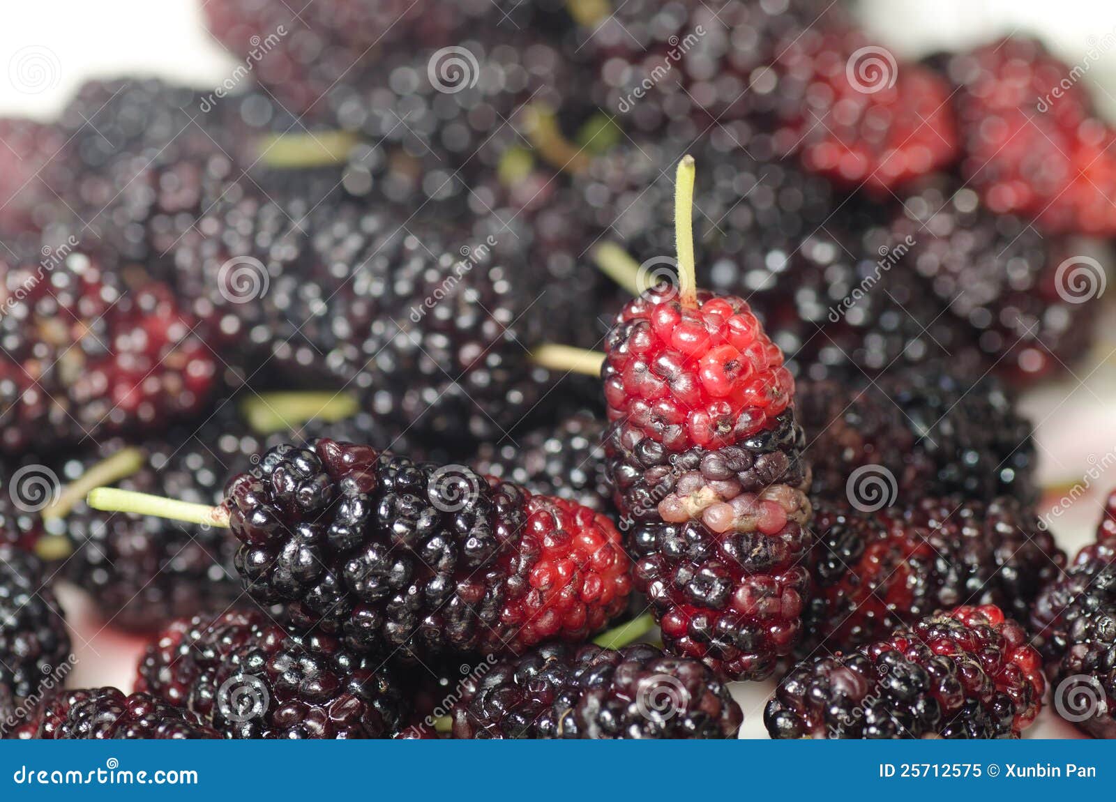 imágenes comunes del Fruta De La Zarzamora O De La Zarza - los derechos ...