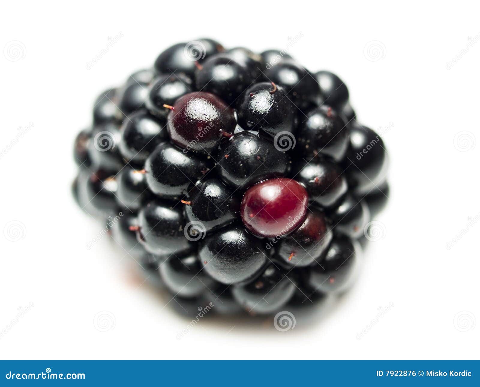 Fruta De La Zarzamora O De La Zarza Foto de archivo - Imagen de sano ...