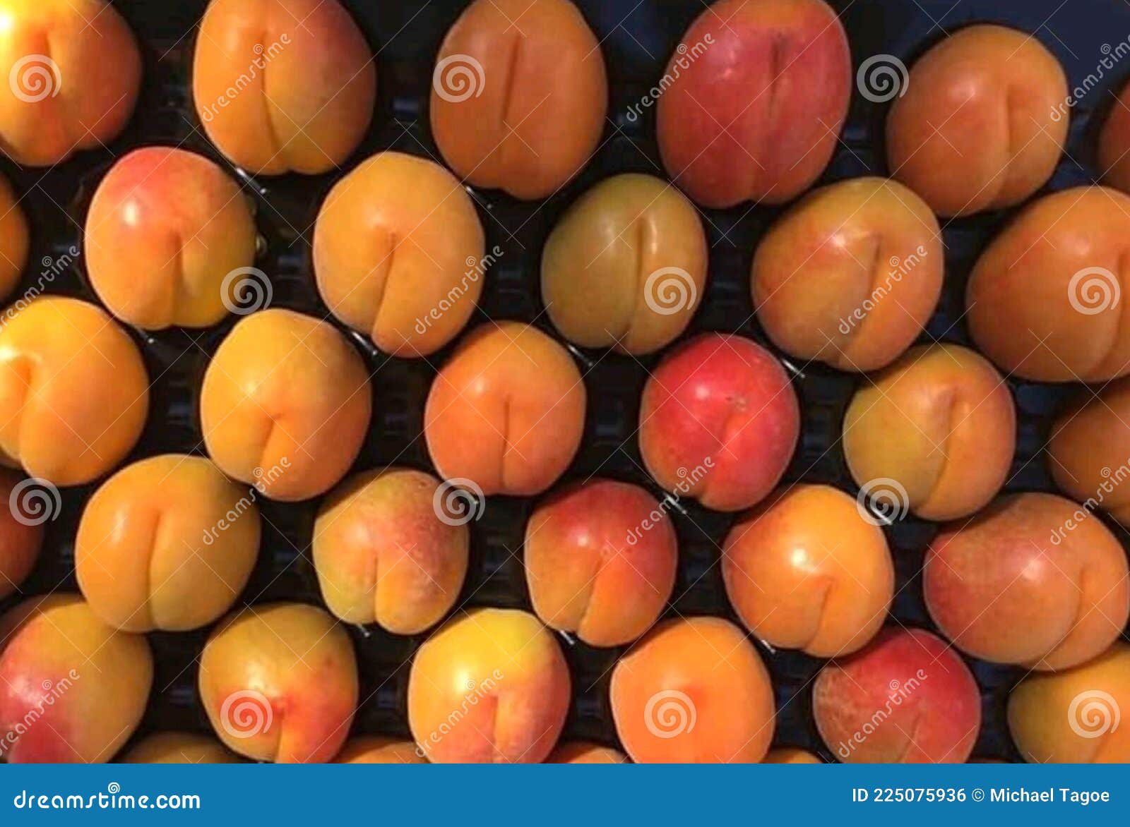 Fruta De Mango Para Una Vida Saludable. Foto de archivo - Imagen de ...