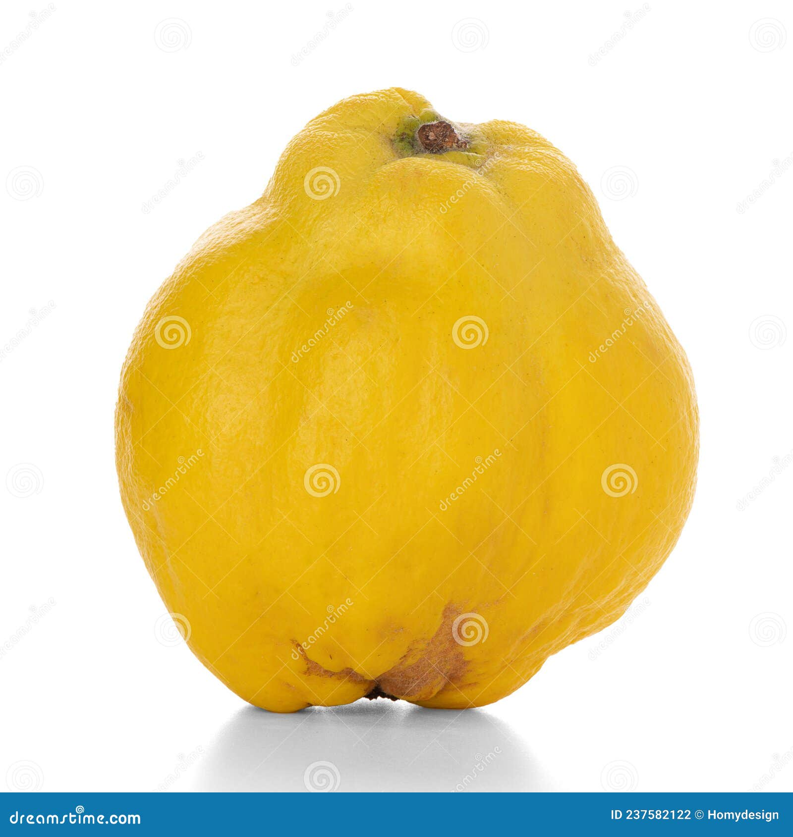 Fruta de marmelo foto de stock. Imagem de suculento - 237582122