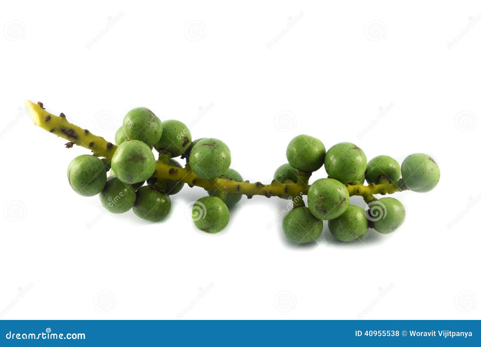 Fruta De Mimbre En Tailandia Foto de archivo - Imagen de color, fruta ...