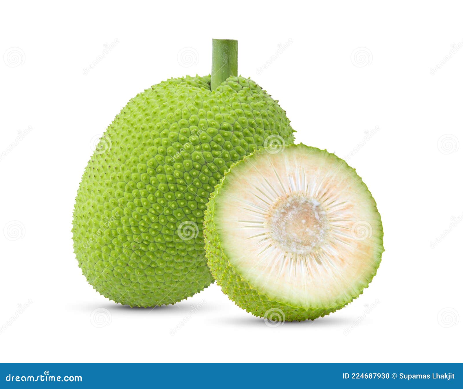 Fruta De Pan Sobre Fondo Blanco Foto de archivo - Imagen de fruta ...