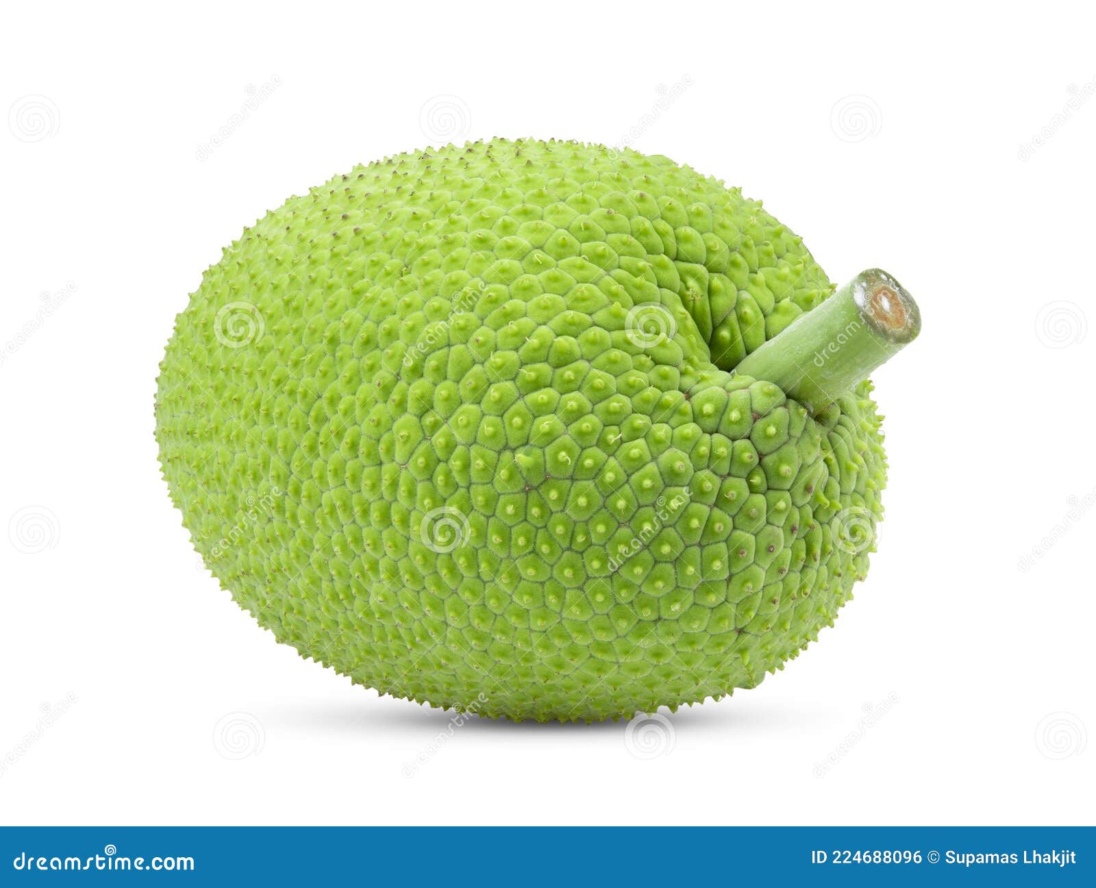 Fruta De Pan Sobre Fondo Blanco Foto de archivo - Imagen de dulce ...