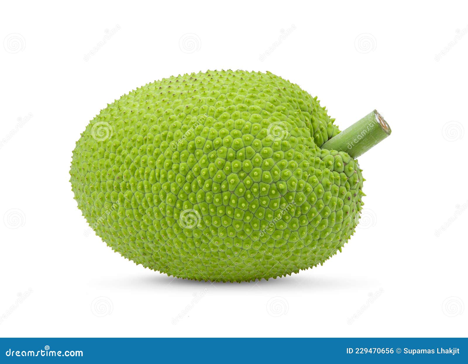 Fruta De Pan Sobre Fondo Blanco Foto de archivo - Imagen de travieso ...